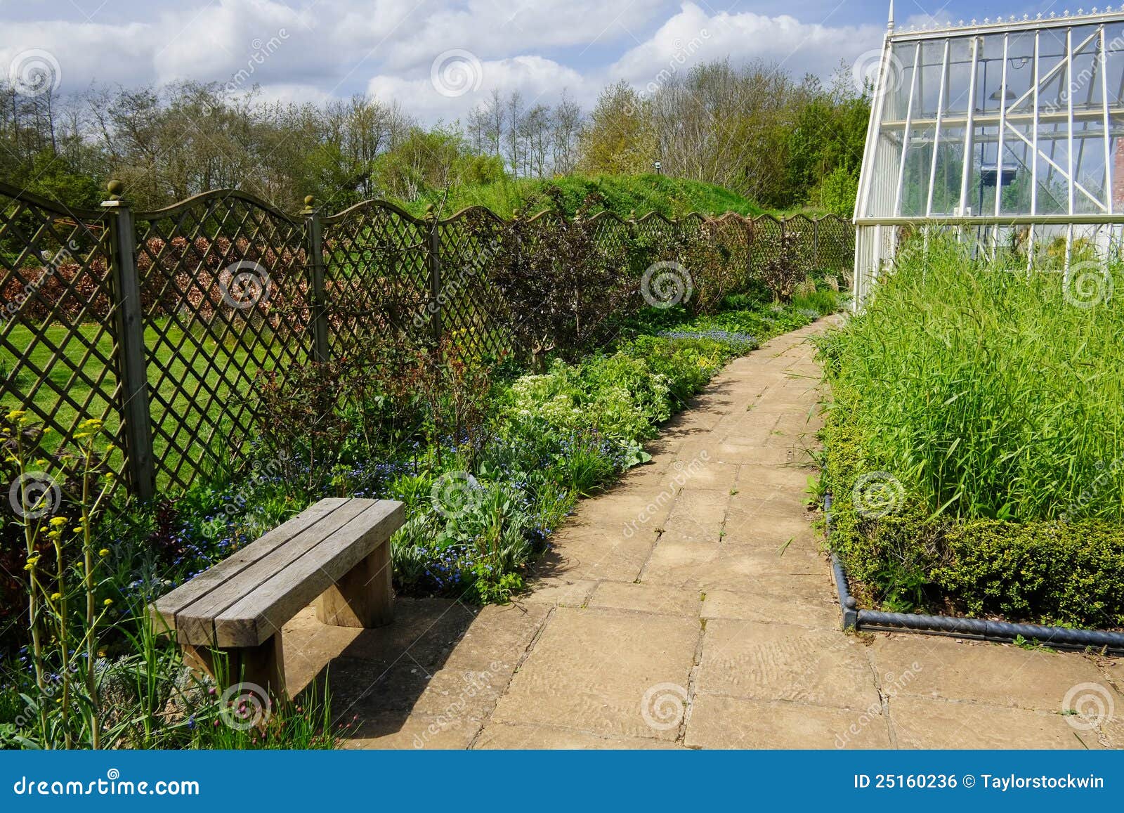 Ryton; stock photo. Image of walk, stone, growing, arch - 25160236
