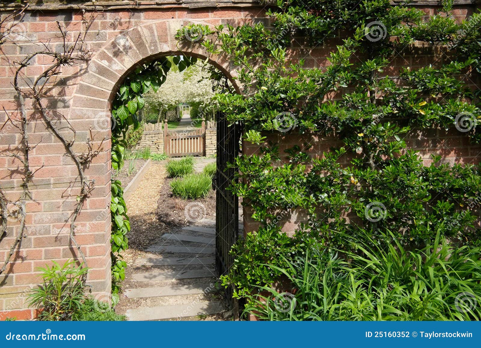 Ryton; stock photo. Image of lawn, centre, slabs, sunny - 25160352