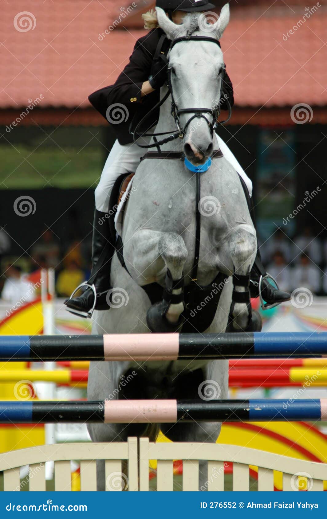 Ryttare arkivfoto. Bild av hopp, konkurrens, visa, gräs - 276552