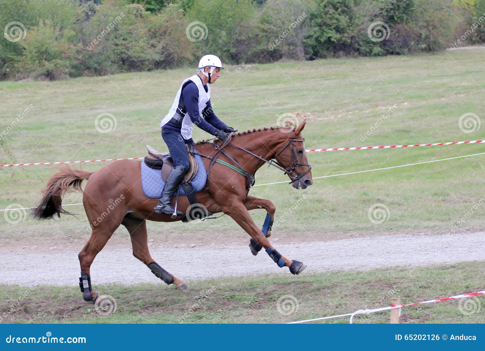 Ryttare och häst redaktionell bild. Bild av hopp, demonstration - 65202126