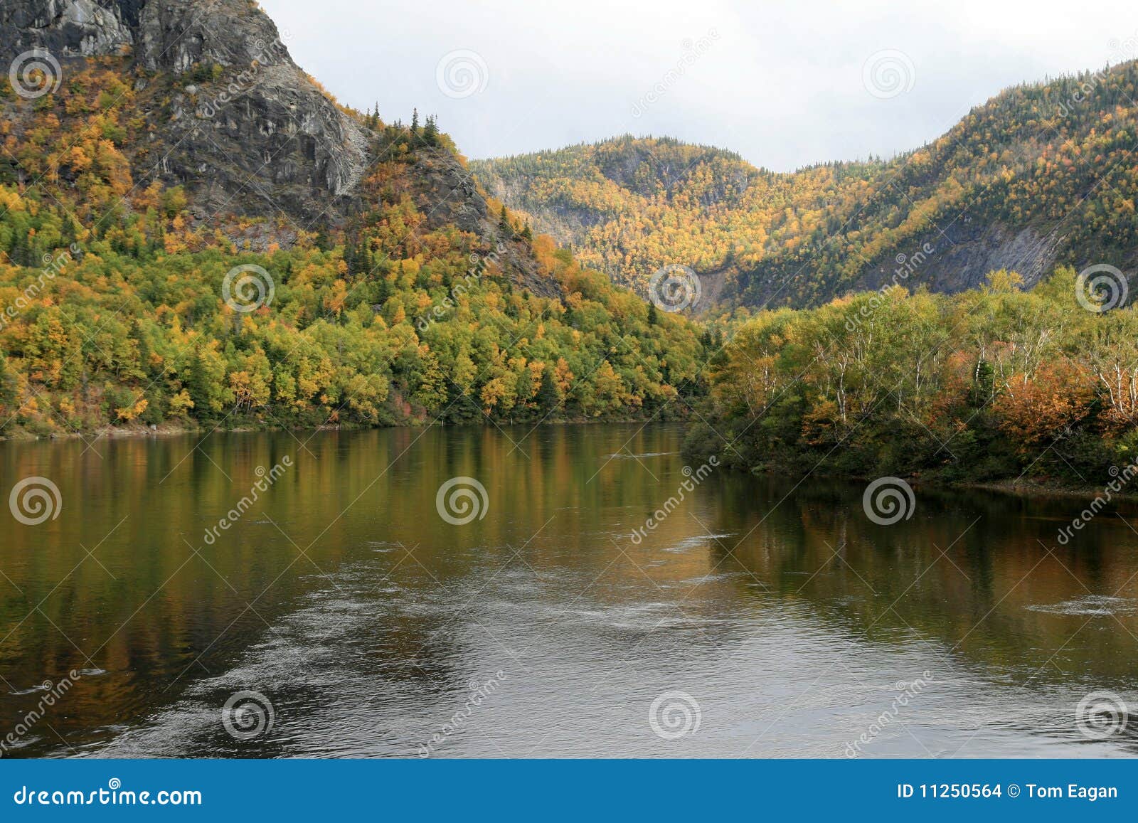 Rzeczna dolina zdjęcie stock. Obraz złożonej z odbicie - 11250564