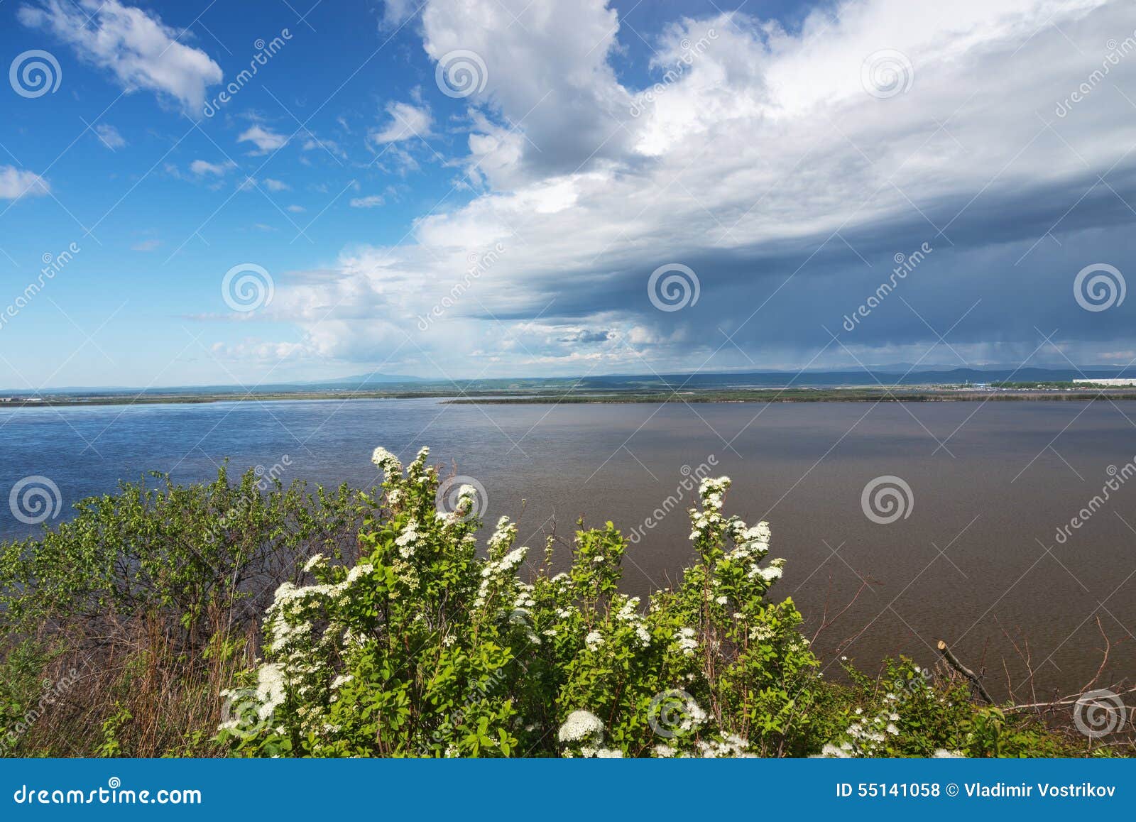 Rzeka Amur zdjęcie stock. Obraz złożonej z plaża, krzaki - 55141058