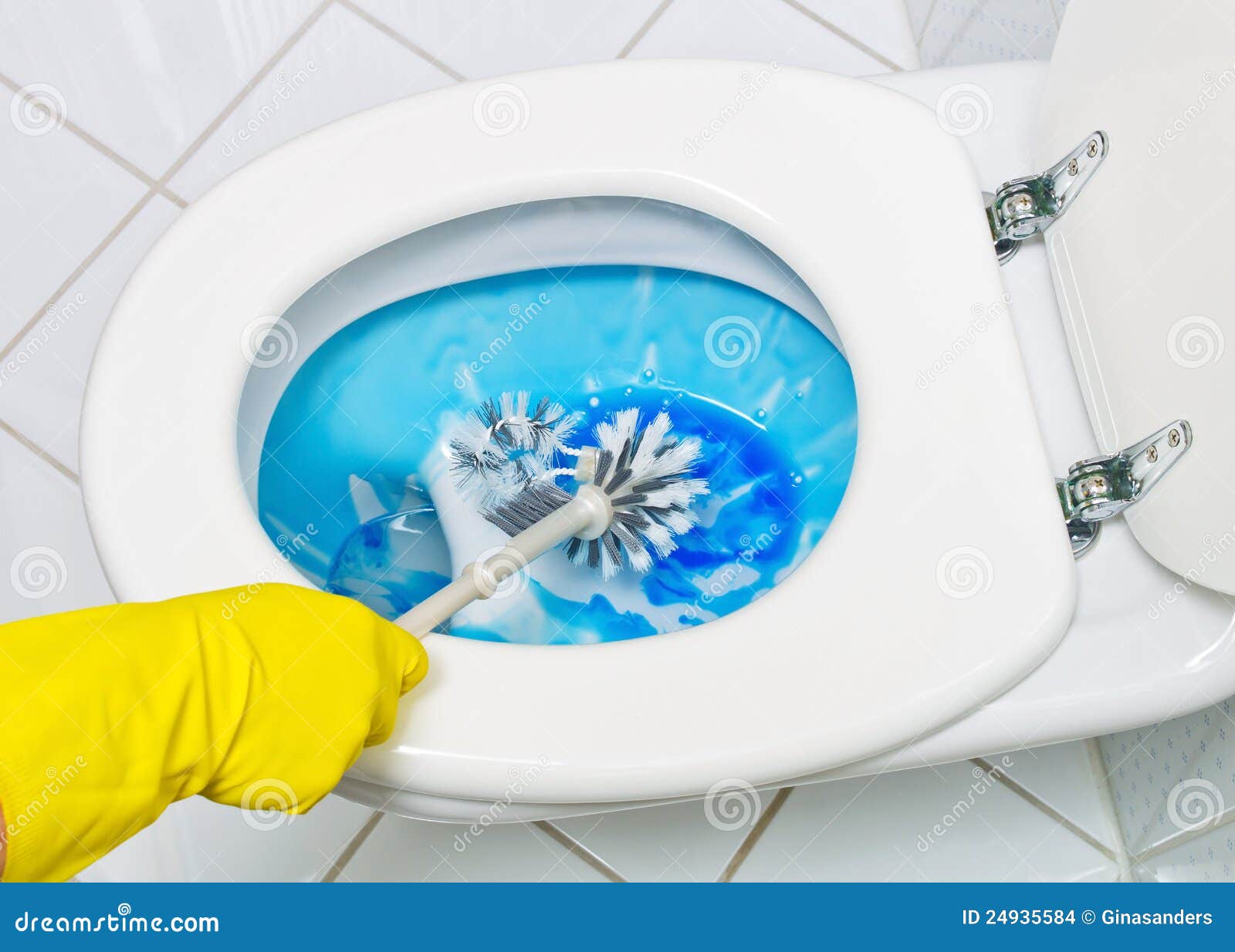Säubern der Toilette stockfoto. Bild von badezimmer, haupt - 24935584