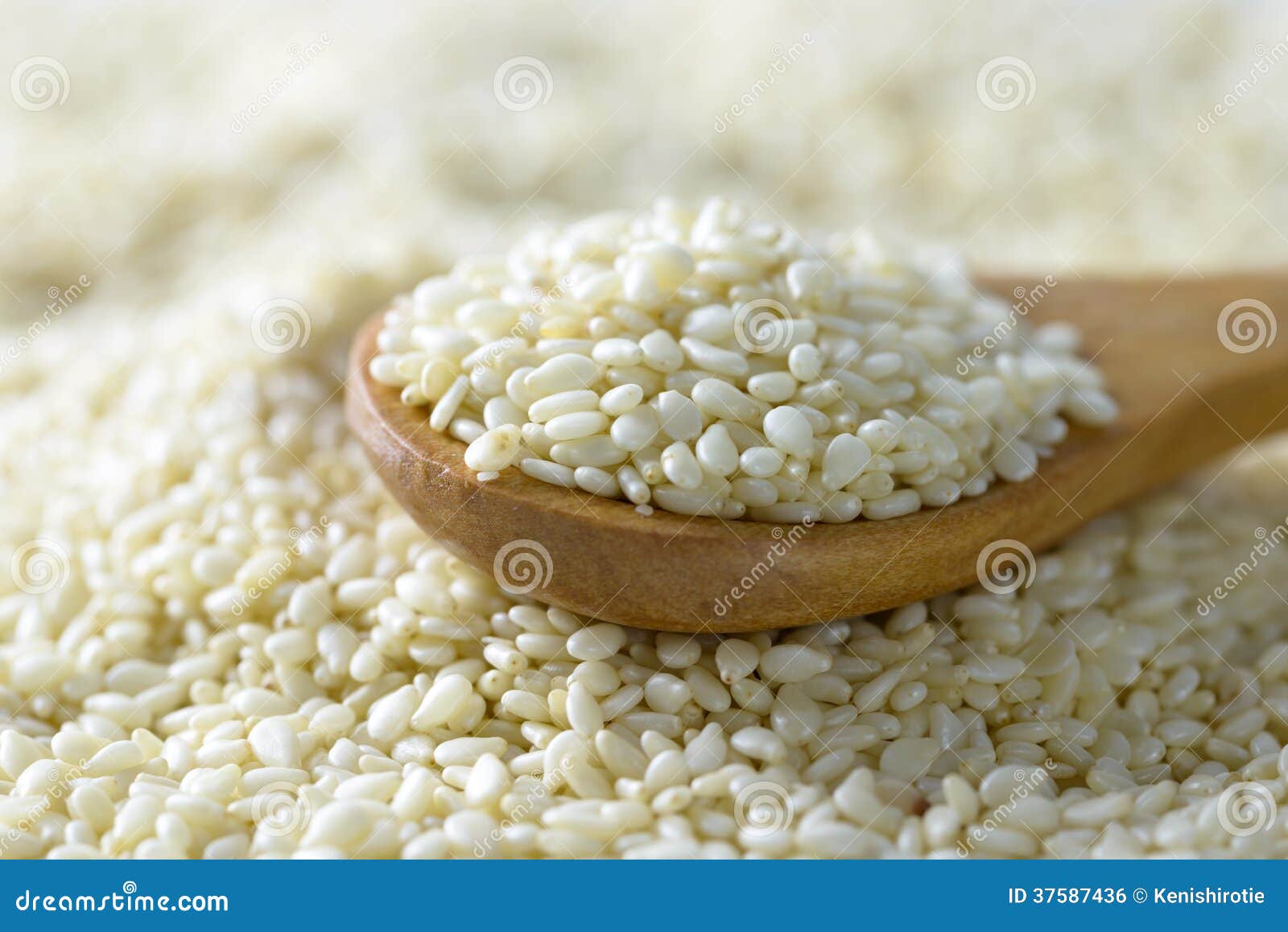 Sésamo blanco foto de archivo. Imagen de nutritivo, condimento - 37587436