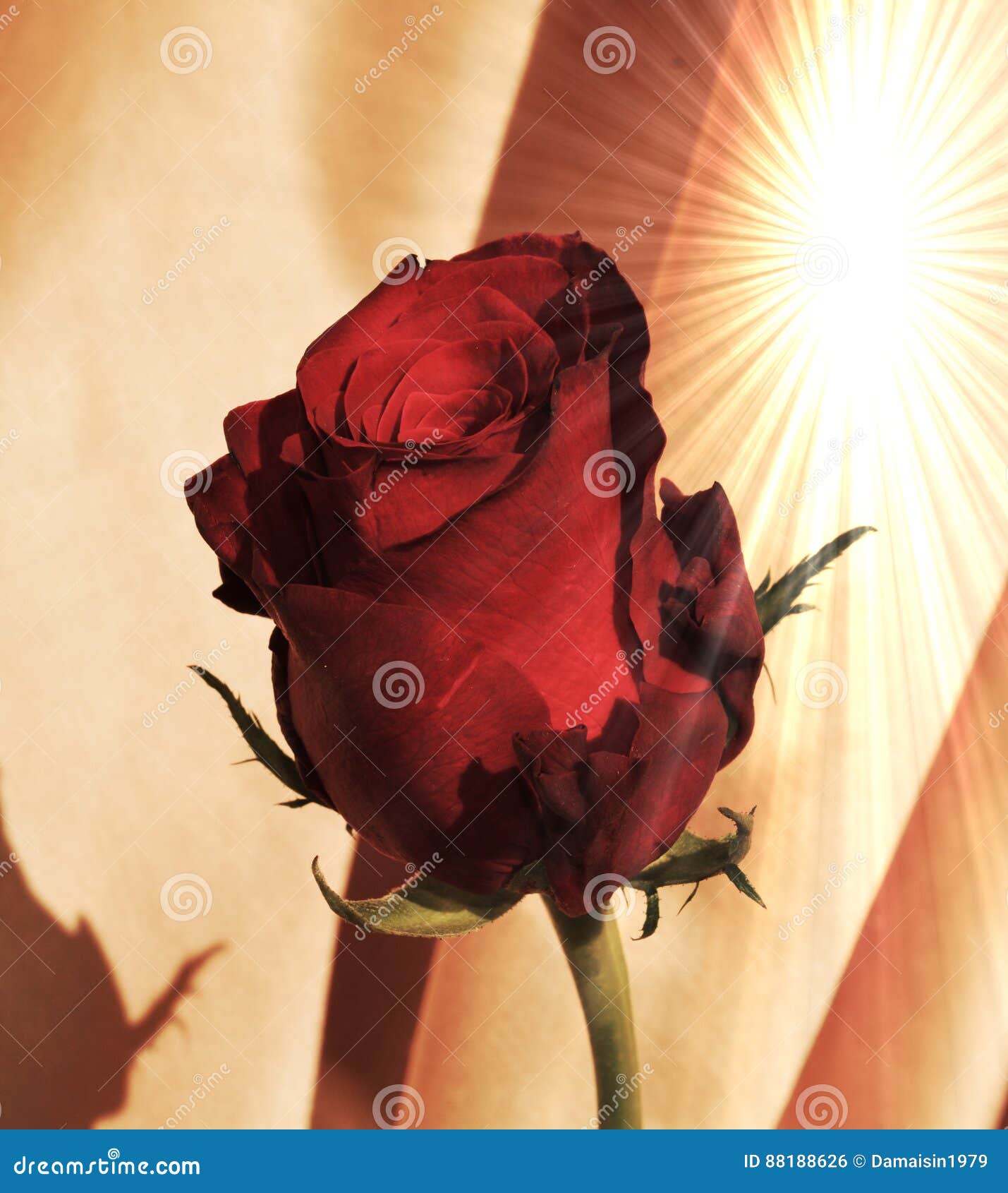 Símbolo de la gratitud foto de archivo. Imagen de verde - 88188626