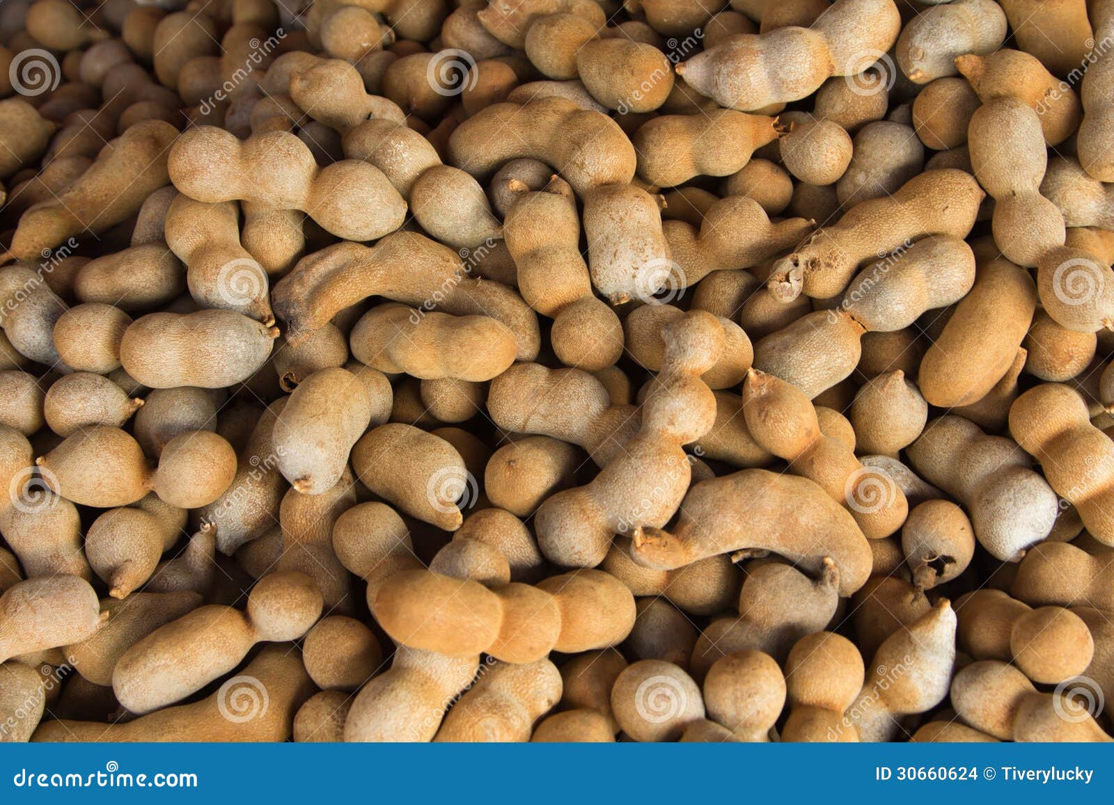 Süße Tamarinde stockfoto. Bild von erneuern, bitter, entspannen - 30660624