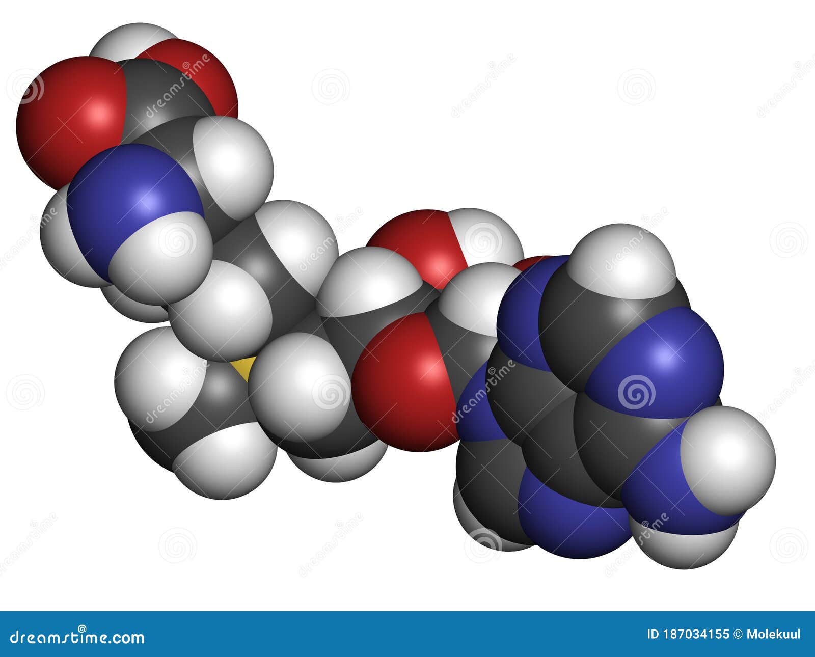 S-adenosyl Methionine (SAM) Molecule. Essential in Several Metabolic ...