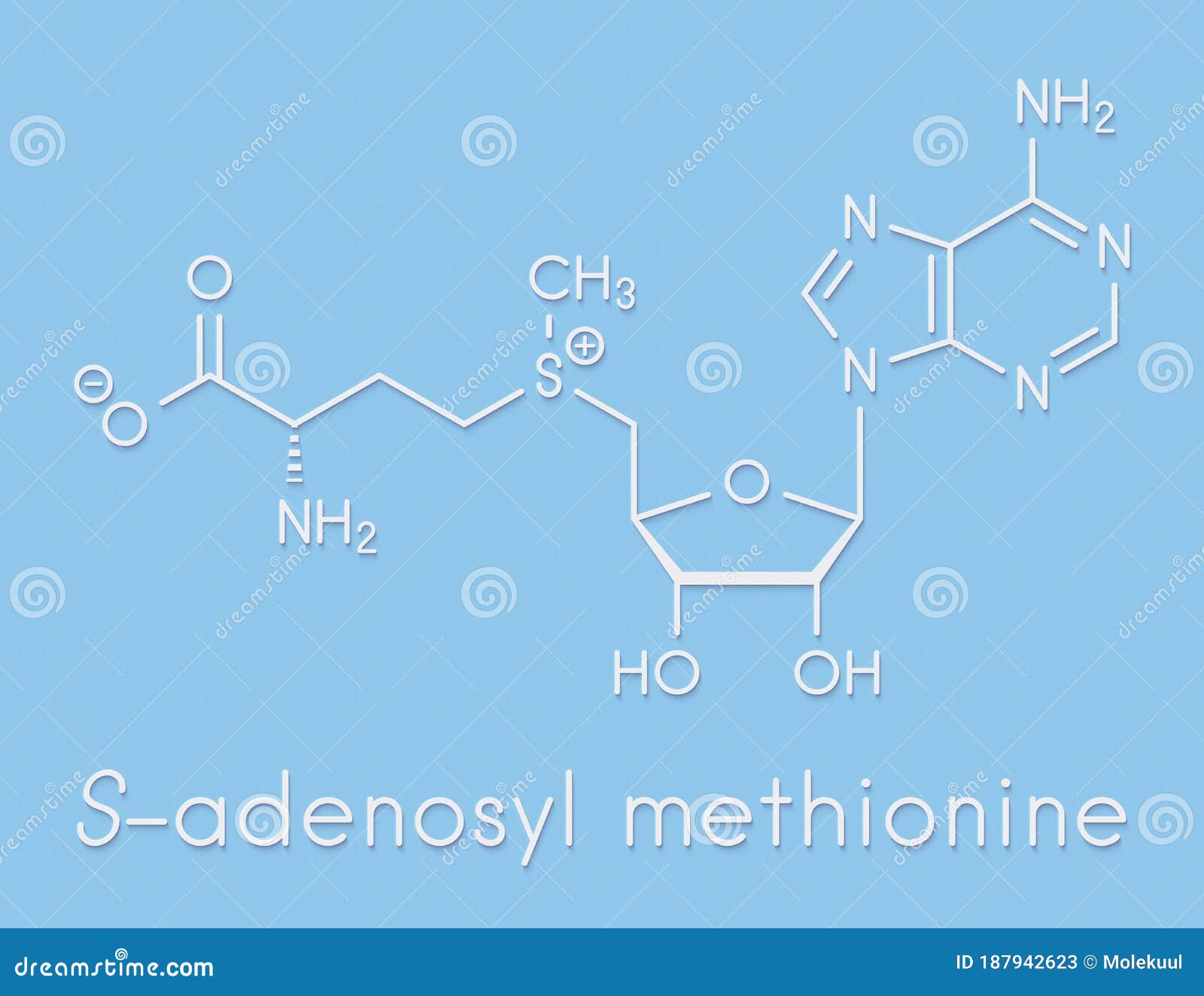 S-Adenosyl Methionine, SAM-e, SAM Molecule. It Is Sulfonium Betaine ...