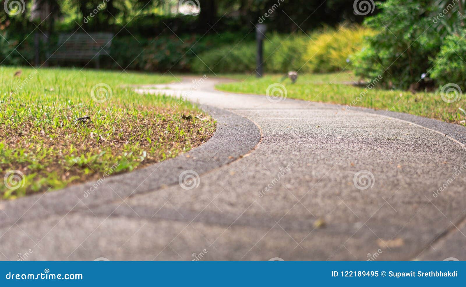 S Curve Walking Pathway in the Garden. Business and the Path To Success ...