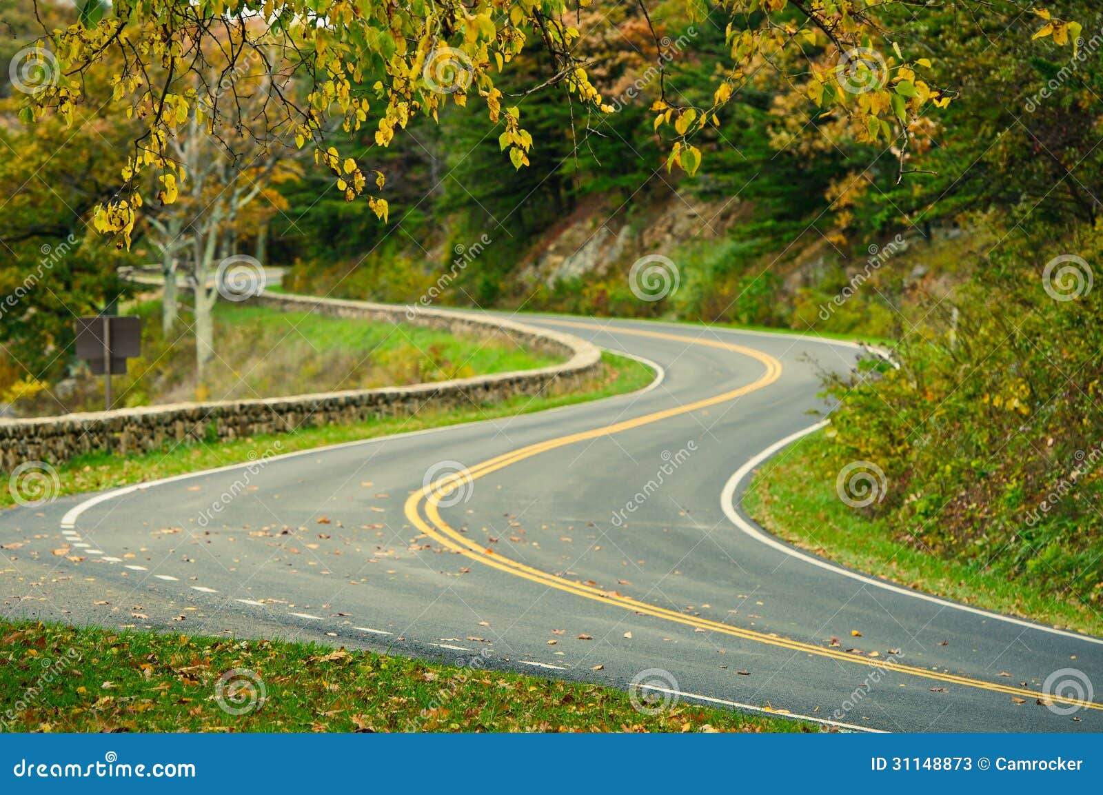 Skyline Drive In A Heavily Shaded Forest Area Of Shenandoah National ...