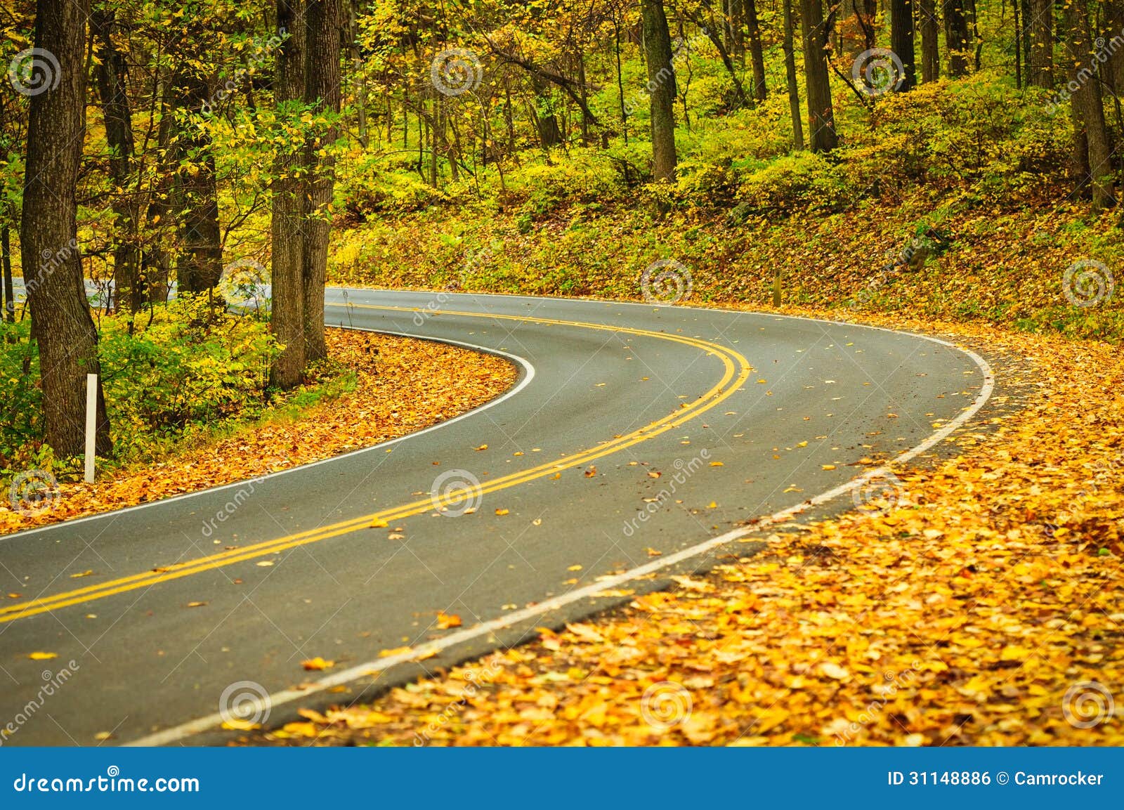 S-Curved Road on Skyline Drive Stock Photo - Image of ridge, autumn ...