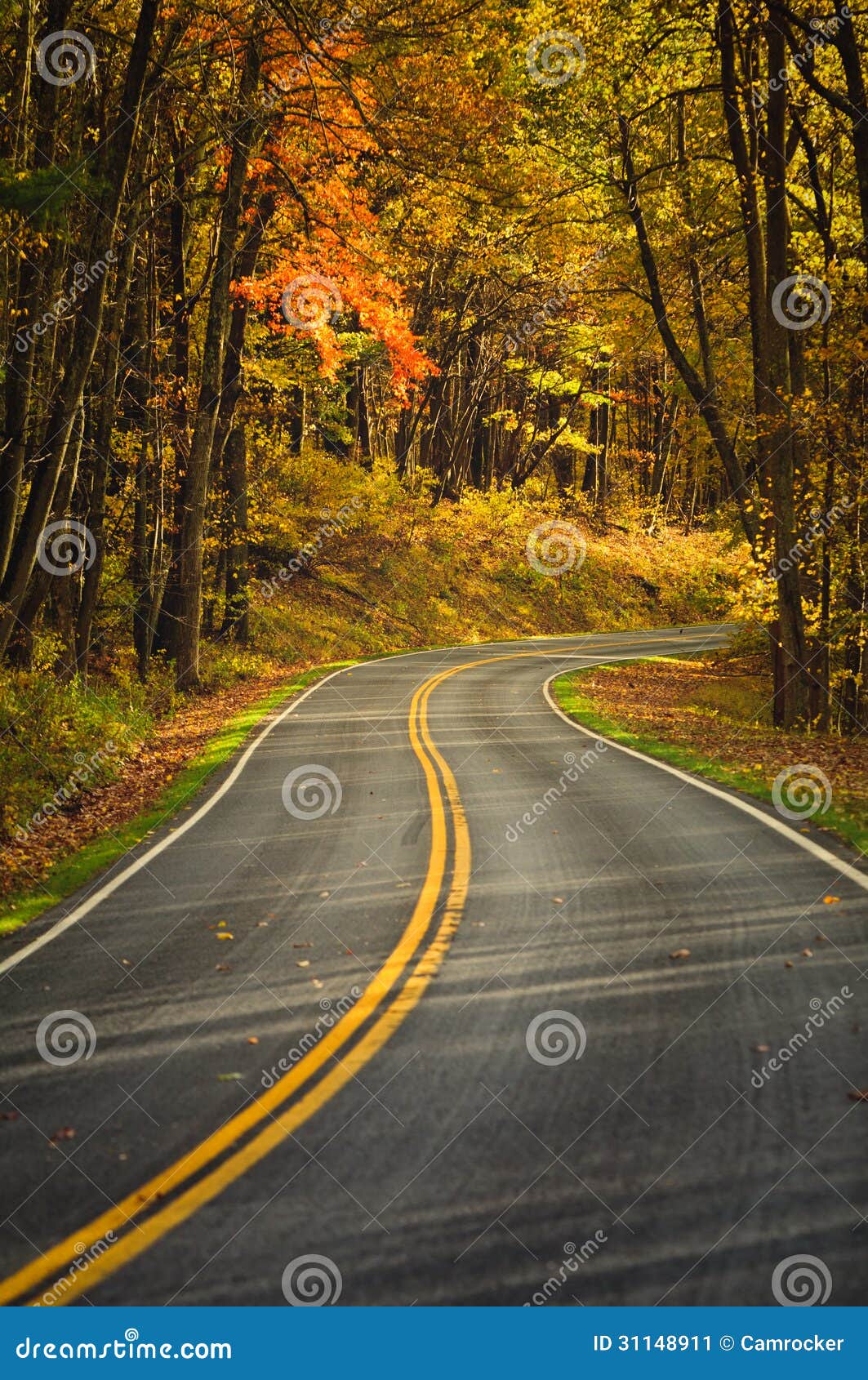 Skyline Drive In A Heavily Shaded Forest Area Of Shenandoah National ...