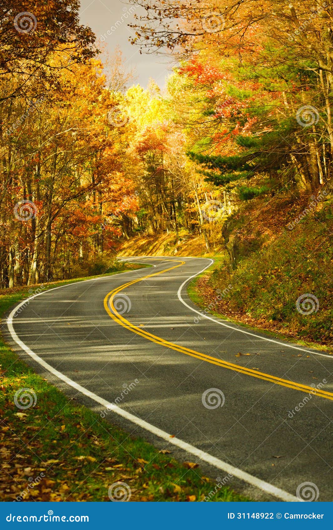 Skyline Drive In A Heavily Shaded Forest Area Of Shenandoah National ...