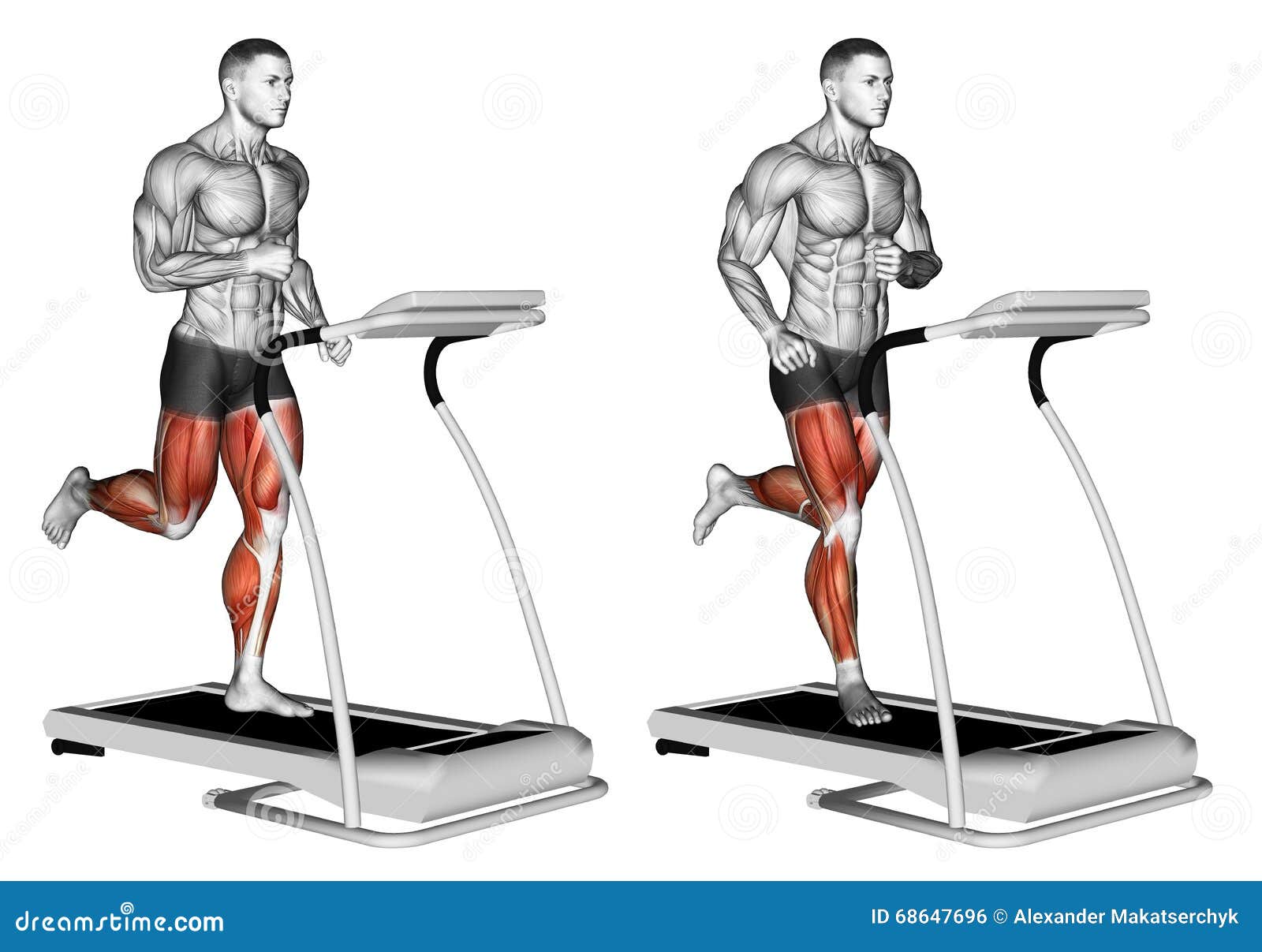 S'exercer course illustration stock. Illustration du muscles - 68647696
