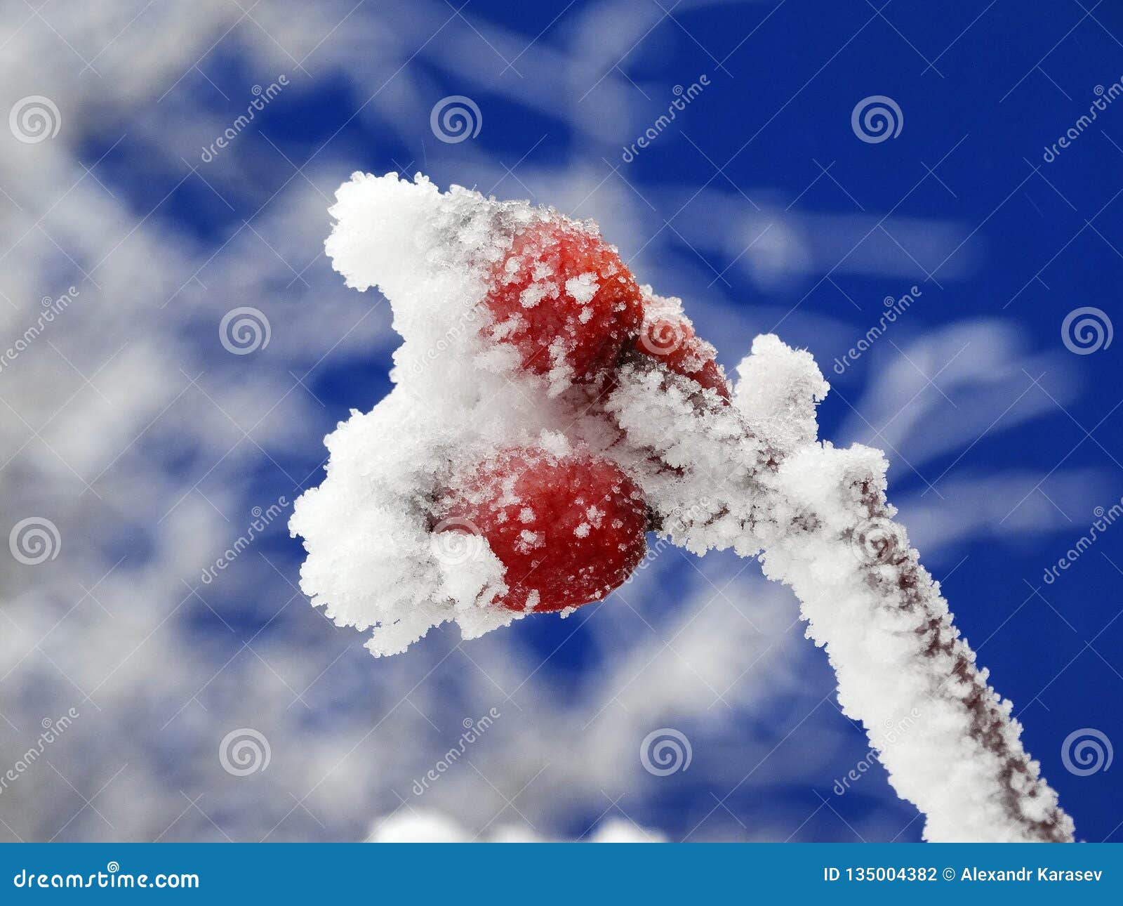 It`s freezing outside stock photo. Image of outside - 135004382