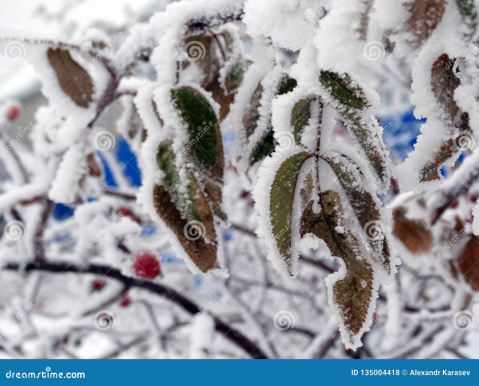 It`s freezing outside stock photo. Image of severe, white - 135004418