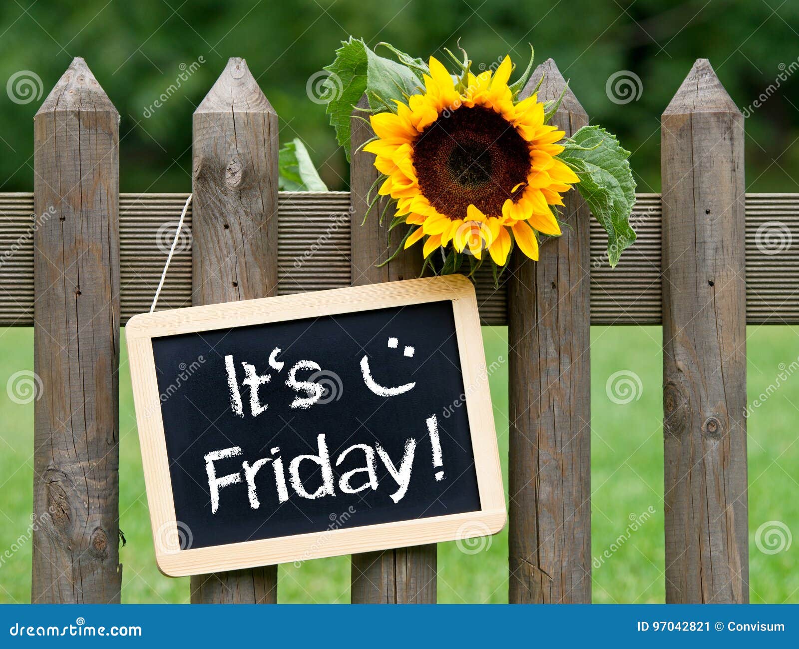 It`s Friday - Chalkboard with Sunflower and Text Stock Image - Image of ...
