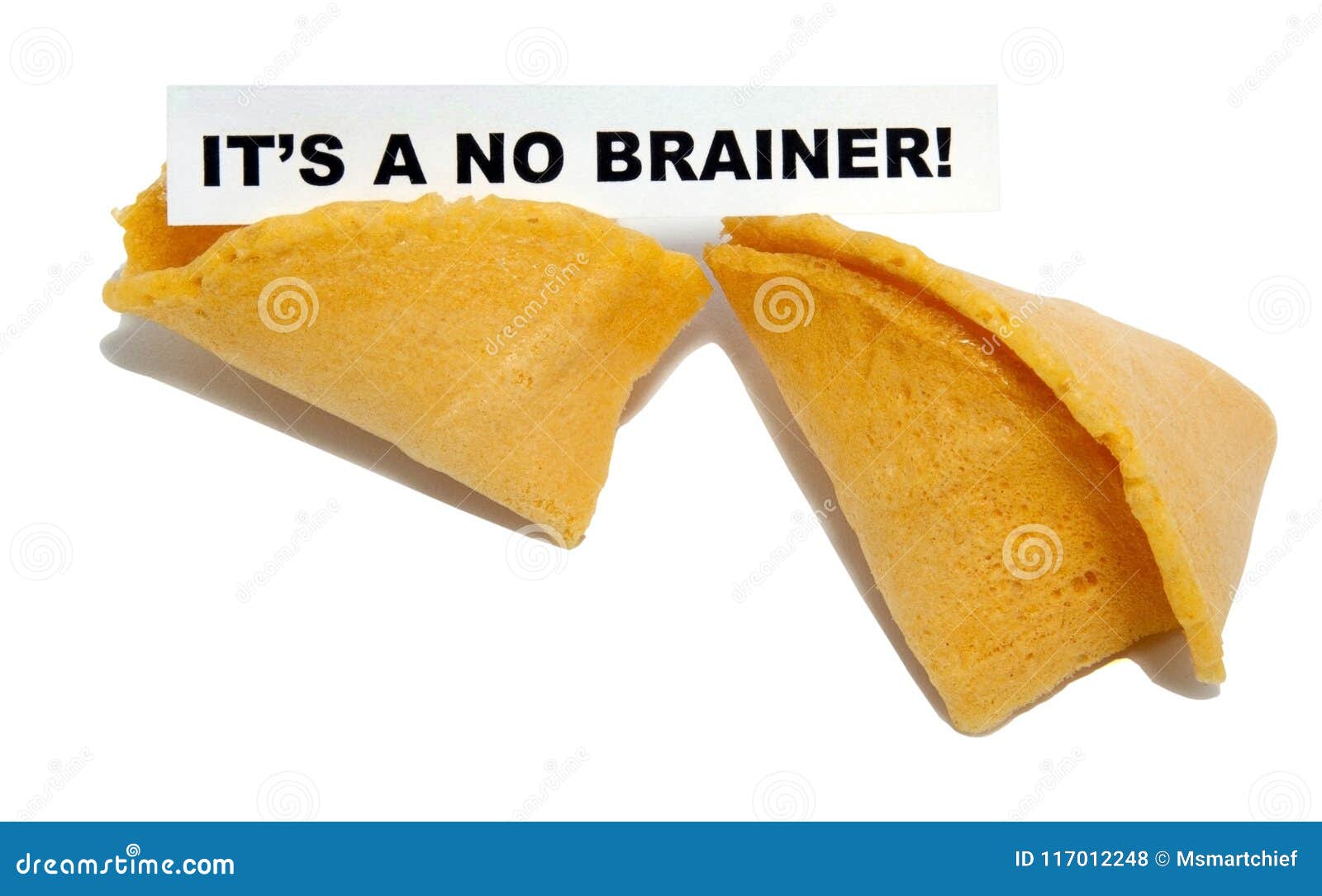 It`S a NO BRAINER! stock photo. Image of idea, isolated - 117012248