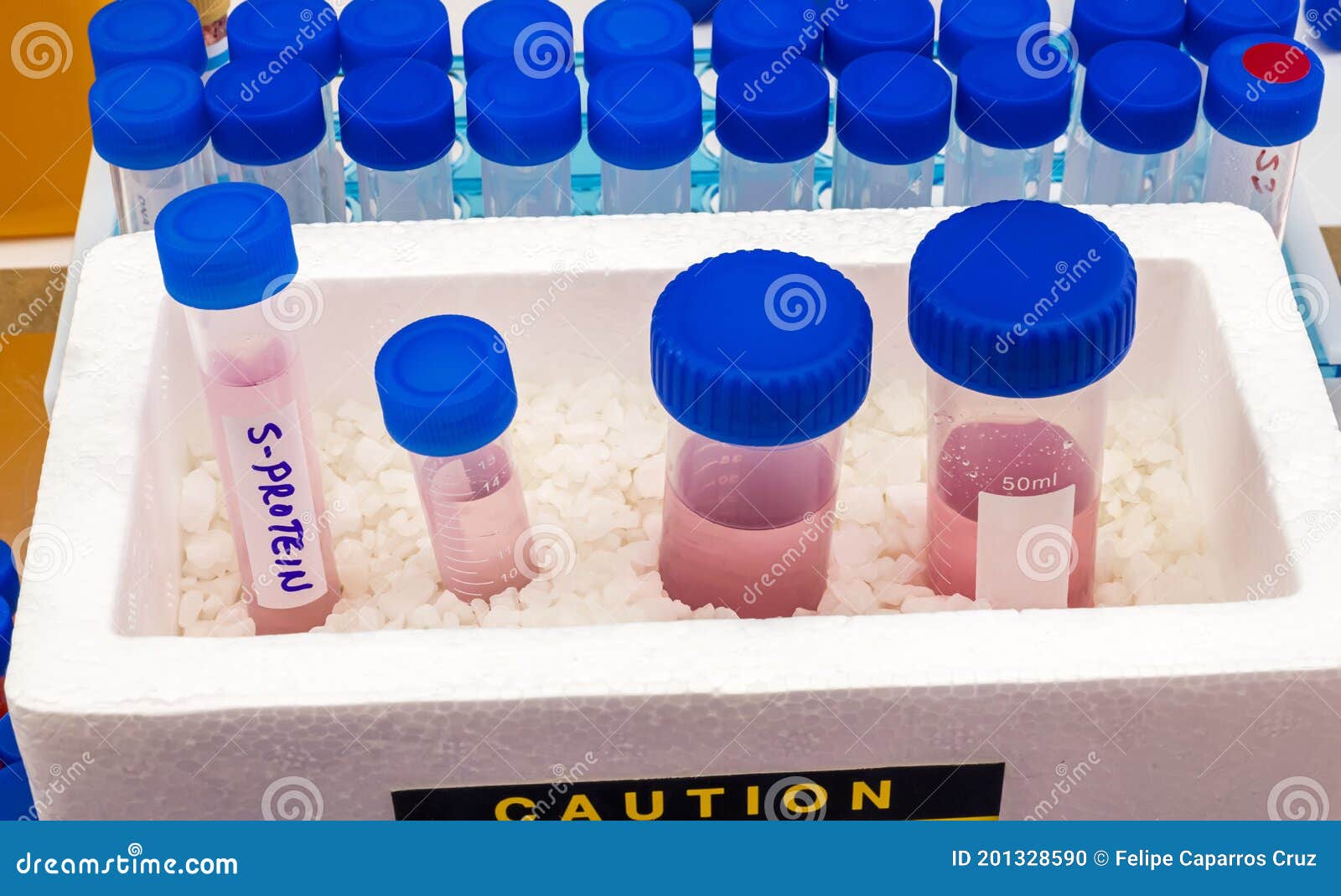 S-protein Samples in Cold Prepared Vials in a Laboratory, Study of ...
