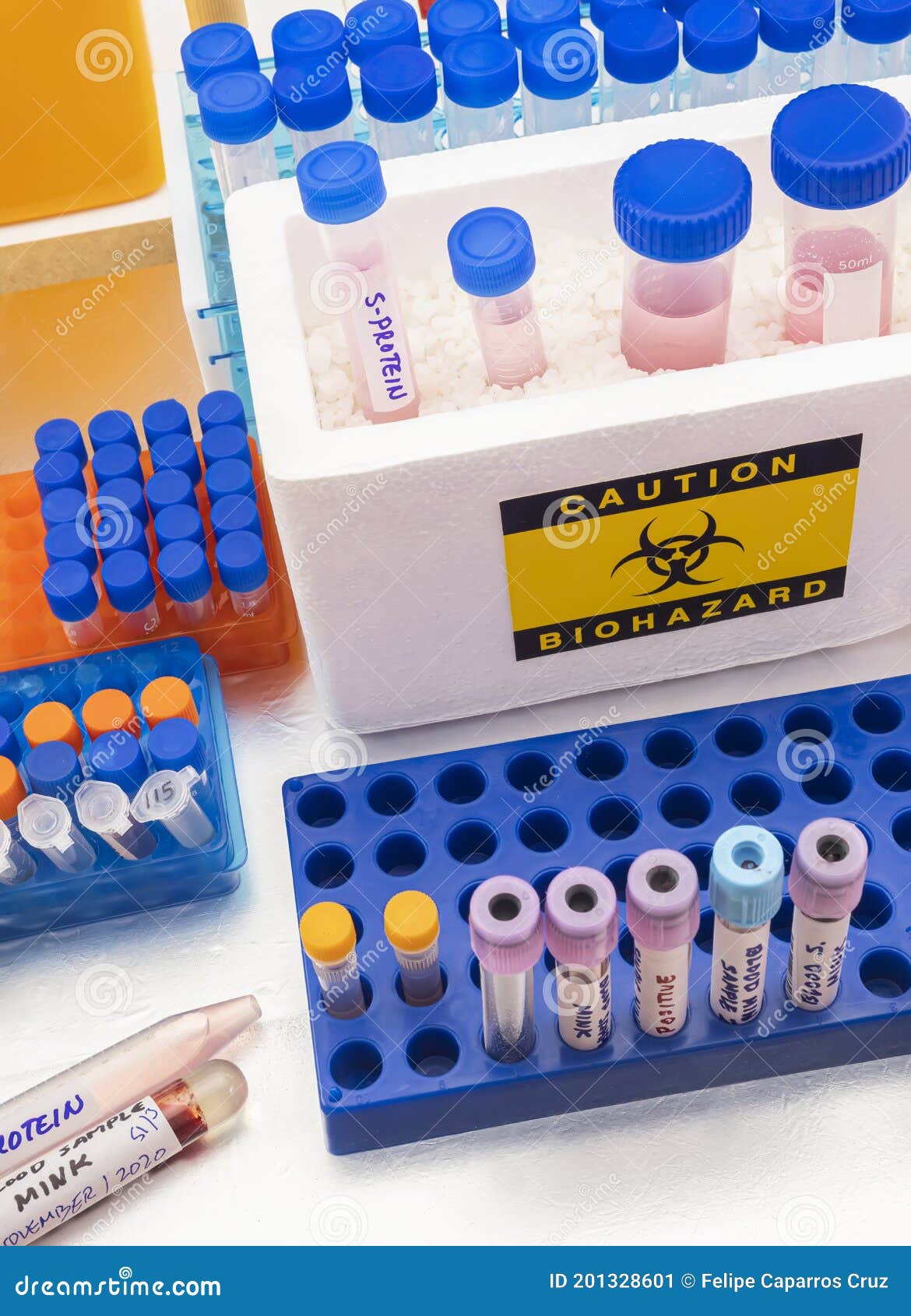 S-protein Samples in Cold Prepared Vials in a Laboratory, Study of ...