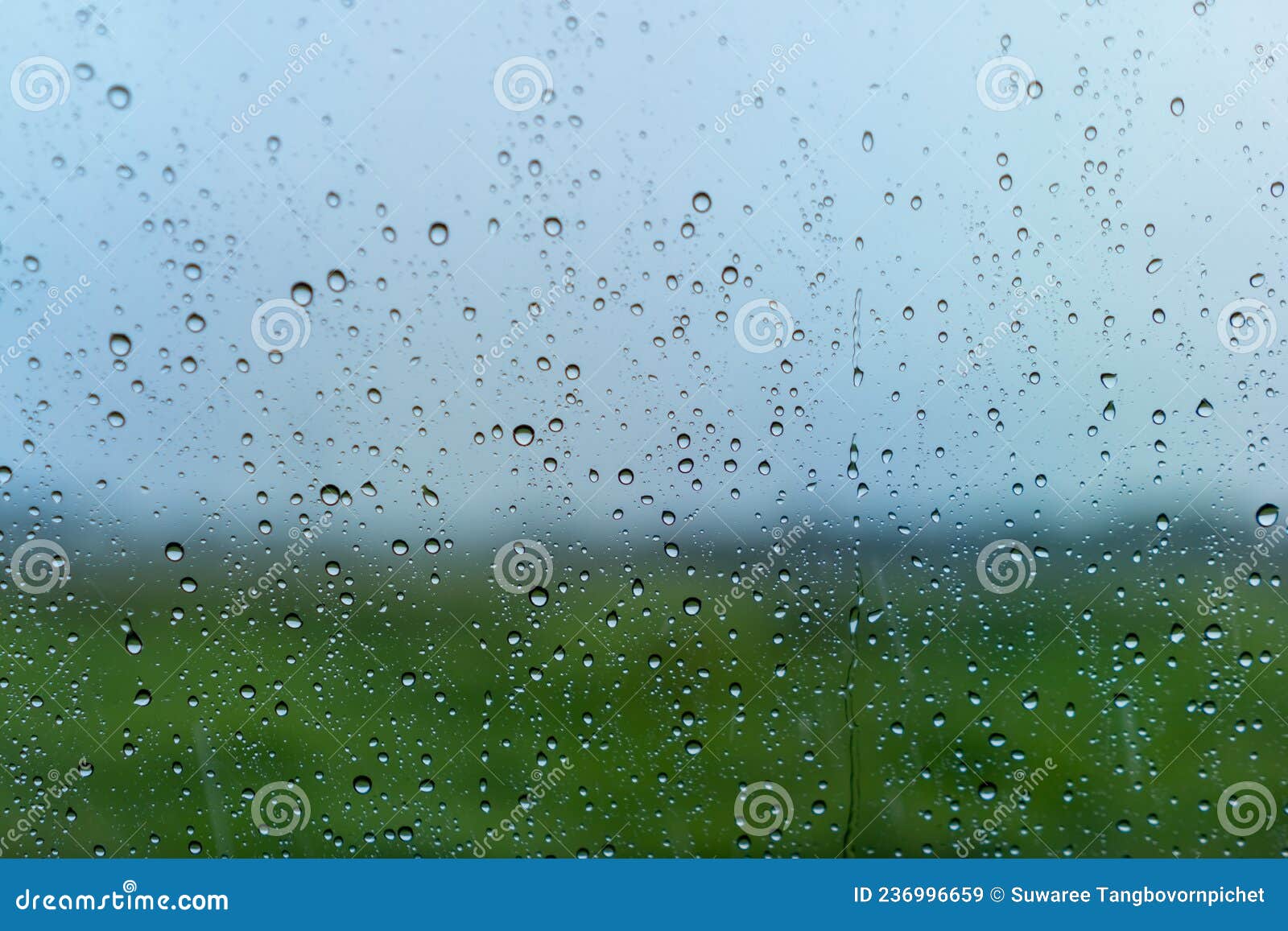 It`s Raining Outside and a Raindrop Falls on the Glass Window Stock ...