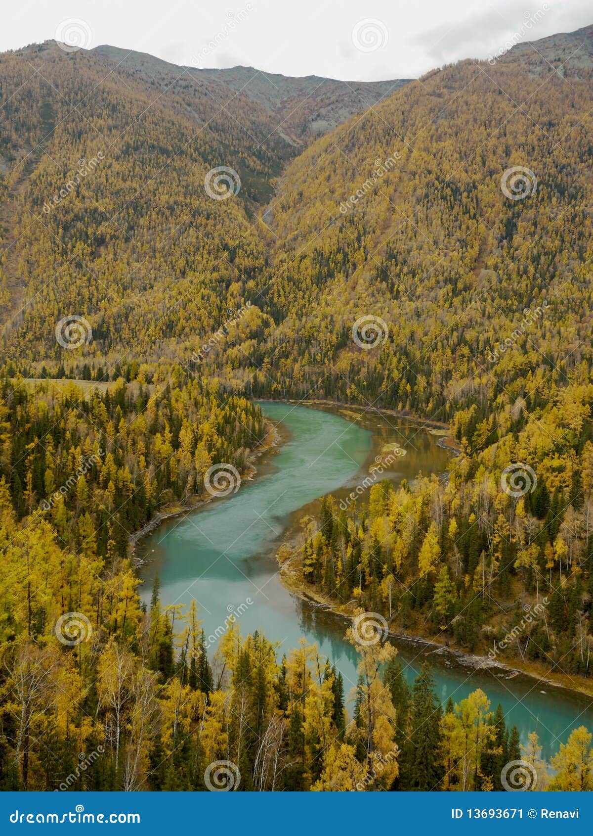 S-shape river stock image. Image of beauty, boreal, canadian - 13693671