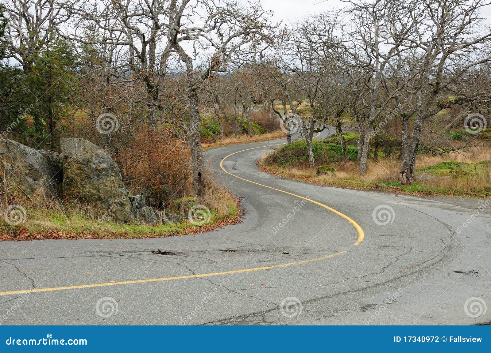 S shape road stock photo. Image of shape, road, landscape - 17340972