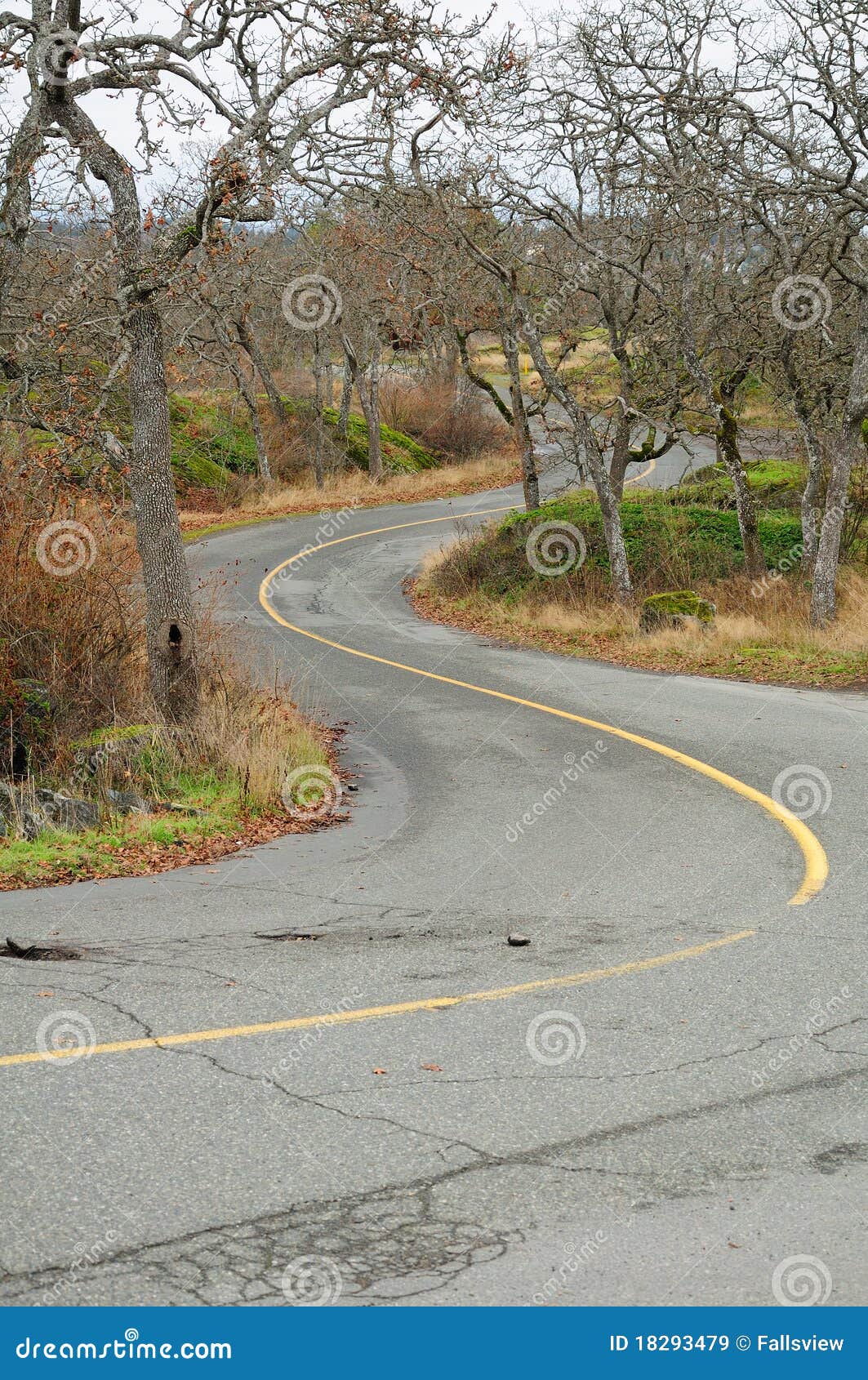 S shape road stock image. Image of transportation, outdoor - 18293479
