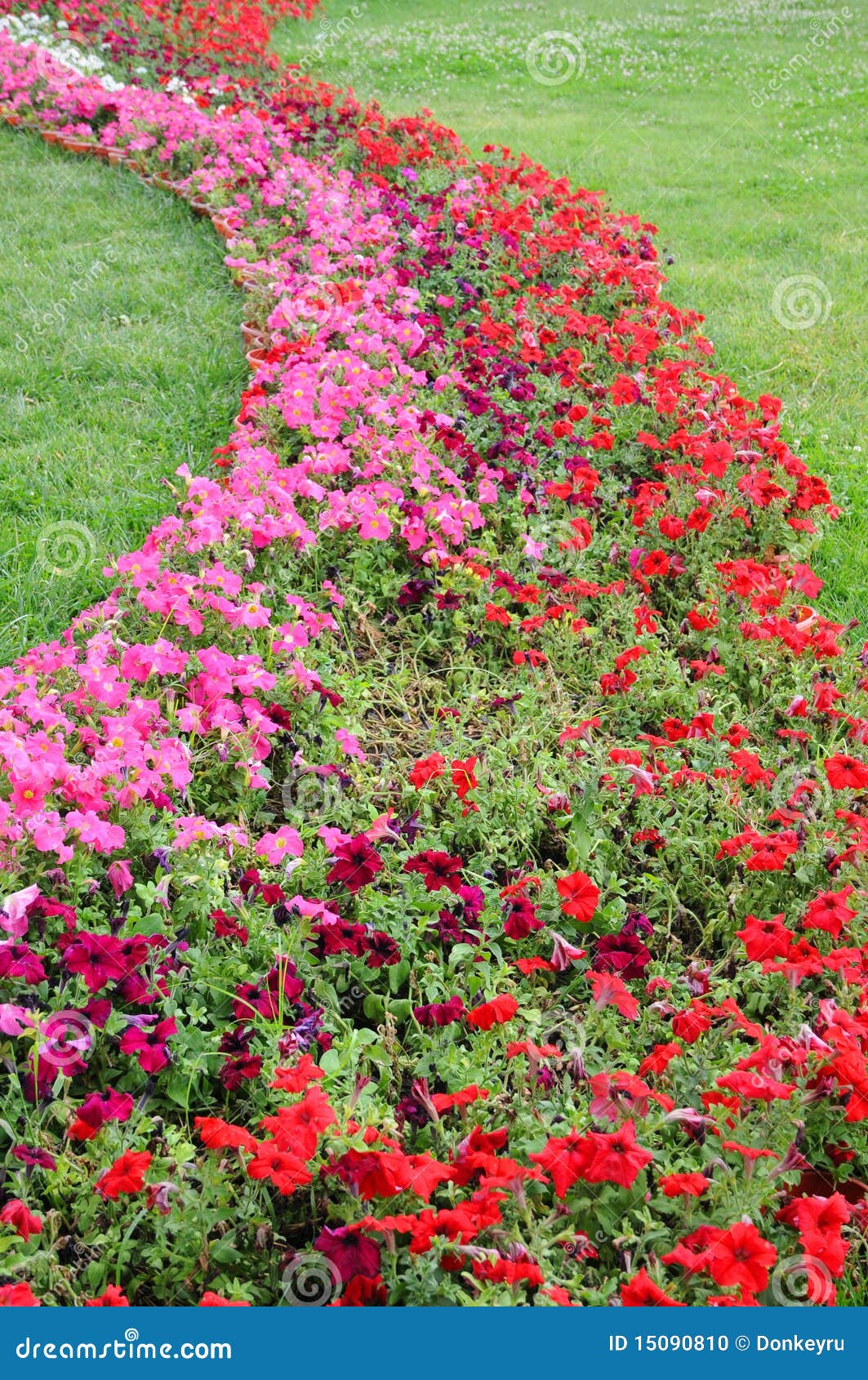 S Shaped Flower Bed In Meadow Stock Photo - Image of curving, spring ...