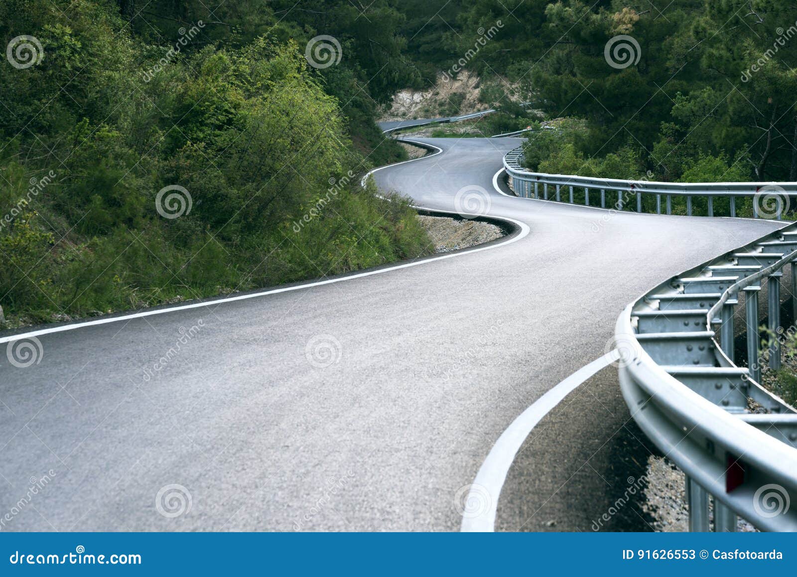 S shaped road in forest. stock image. Image of shape - 91626553