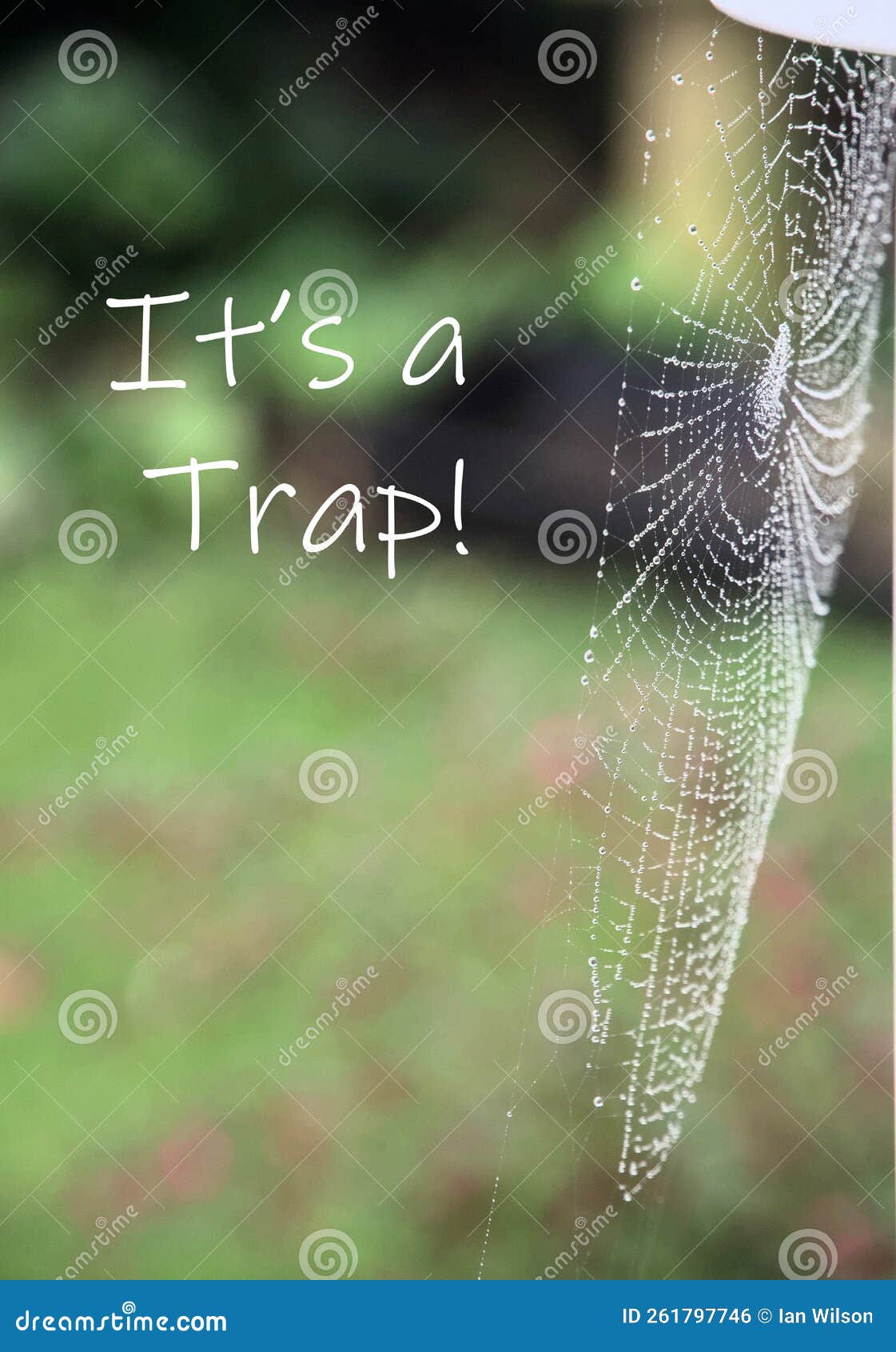 It`s a Trap - Warning Message with Spider Web Stock Photo - Image of ...