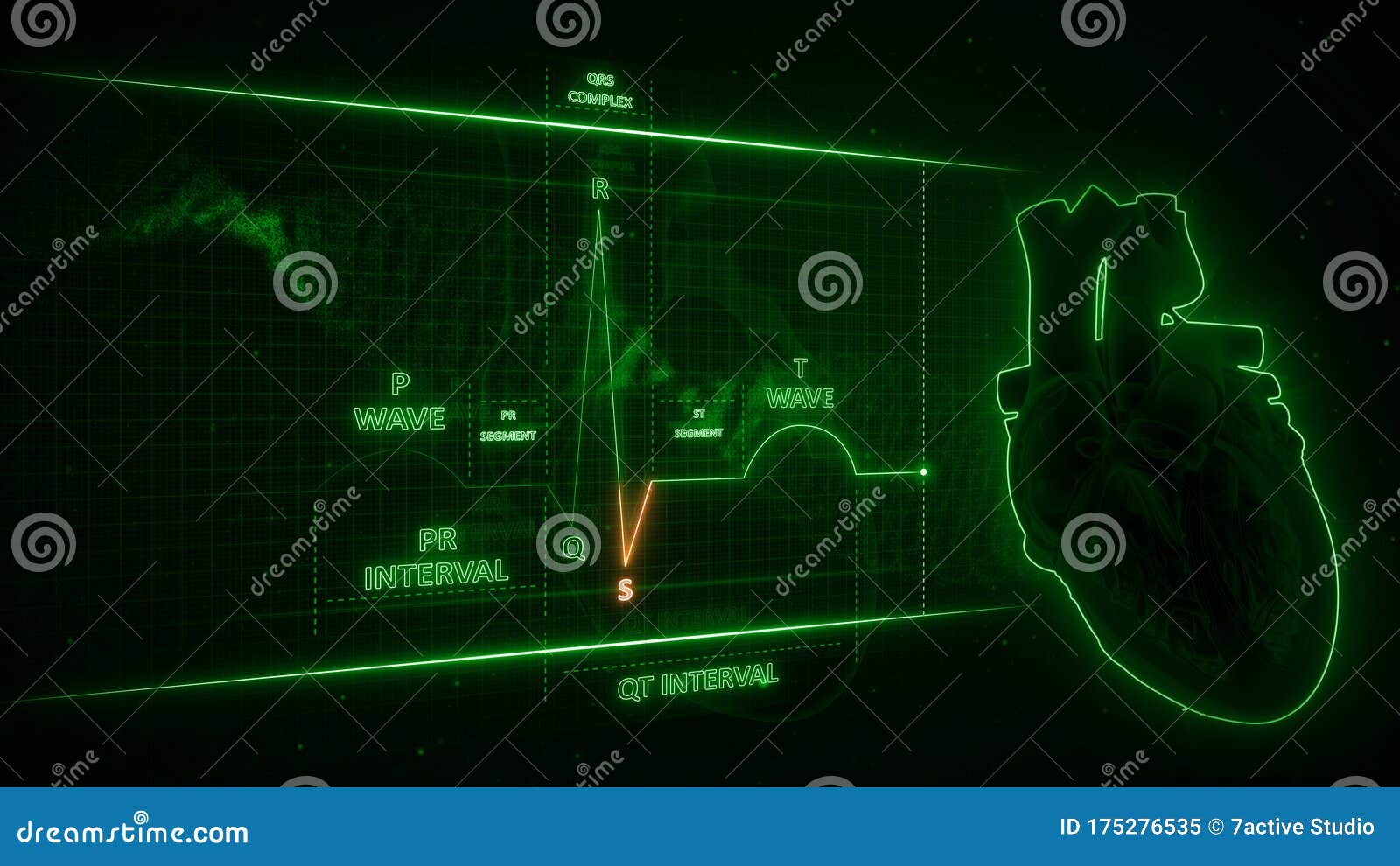 S Wave from Electrocardiogram Wave or ECG or EKG Stock Illustration ...