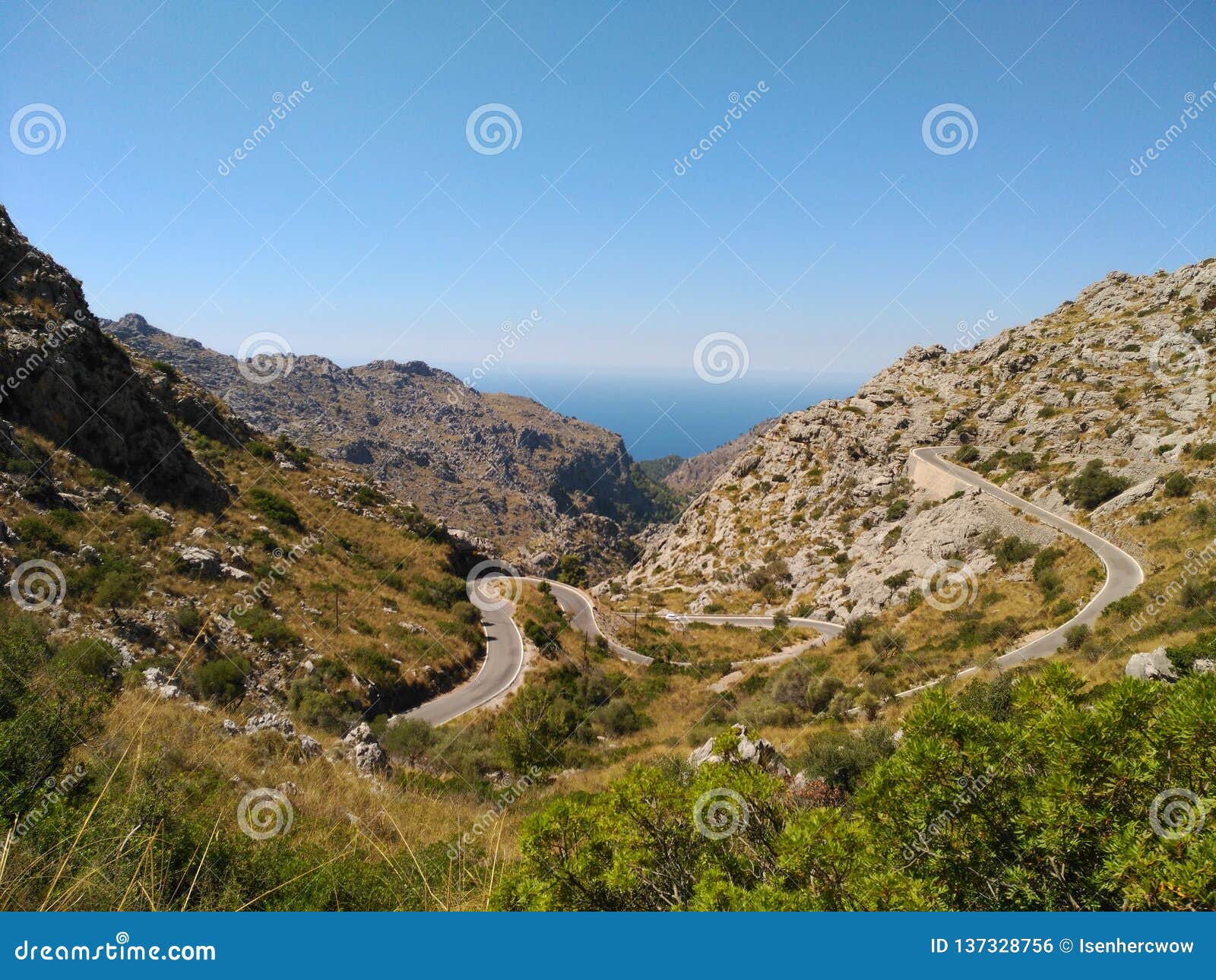 Sa calobra stock photo. Image of calobra, bosque, devoured - 137328756