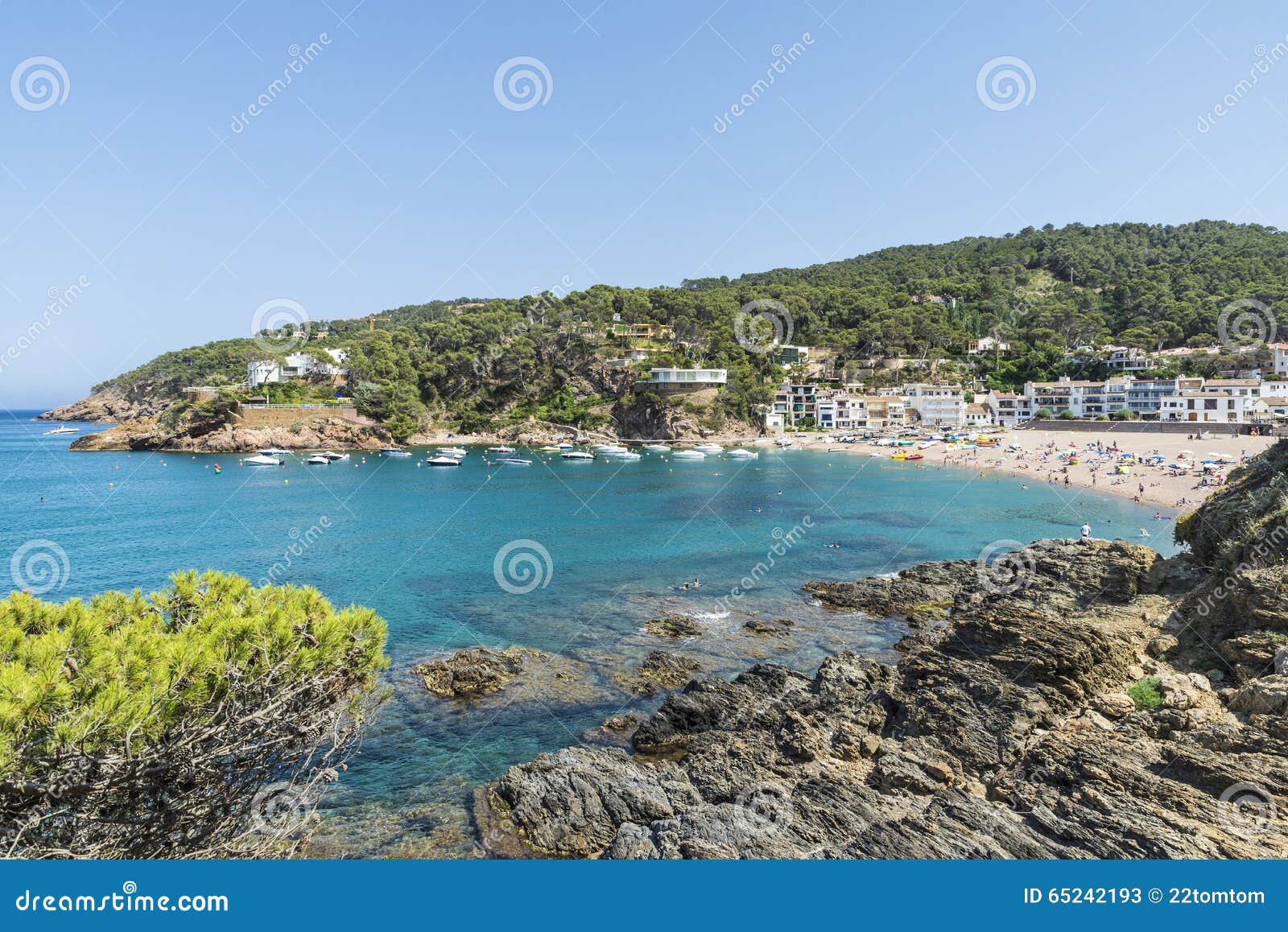 Sa Riera Beach in Costa Brava, Catalonia, Spain Stock Image - Image of ...