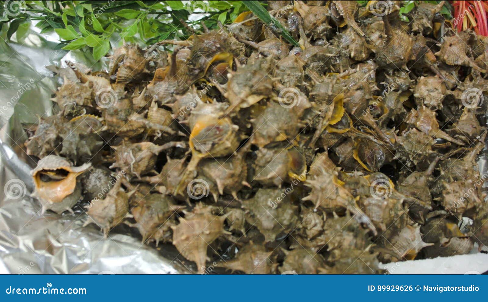 Saang Spider Shell at the Seafood Market Stock Footage - Video of ...