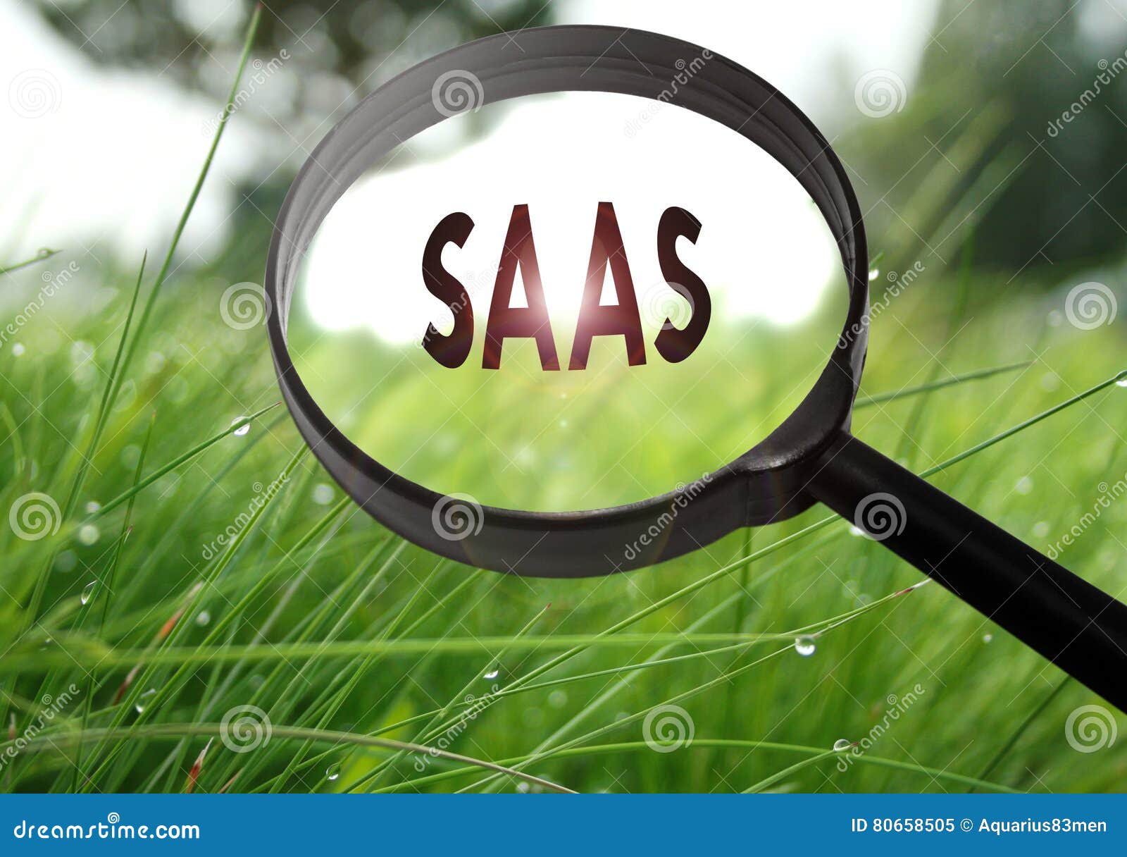 SAAS software as a service stock image. Image of magnifier - 80658505