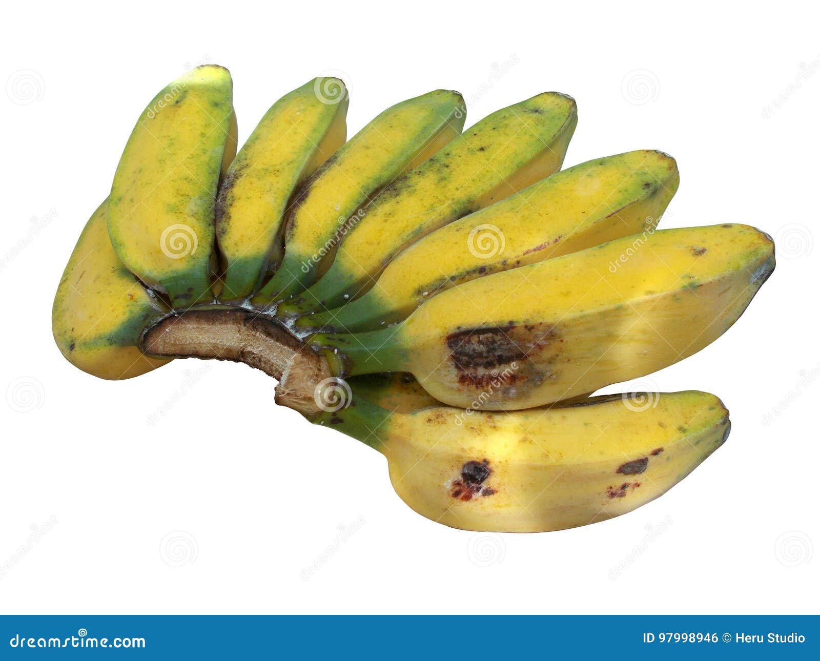 Saba banana fruits stock photo. Image of fruit, group - 97998946