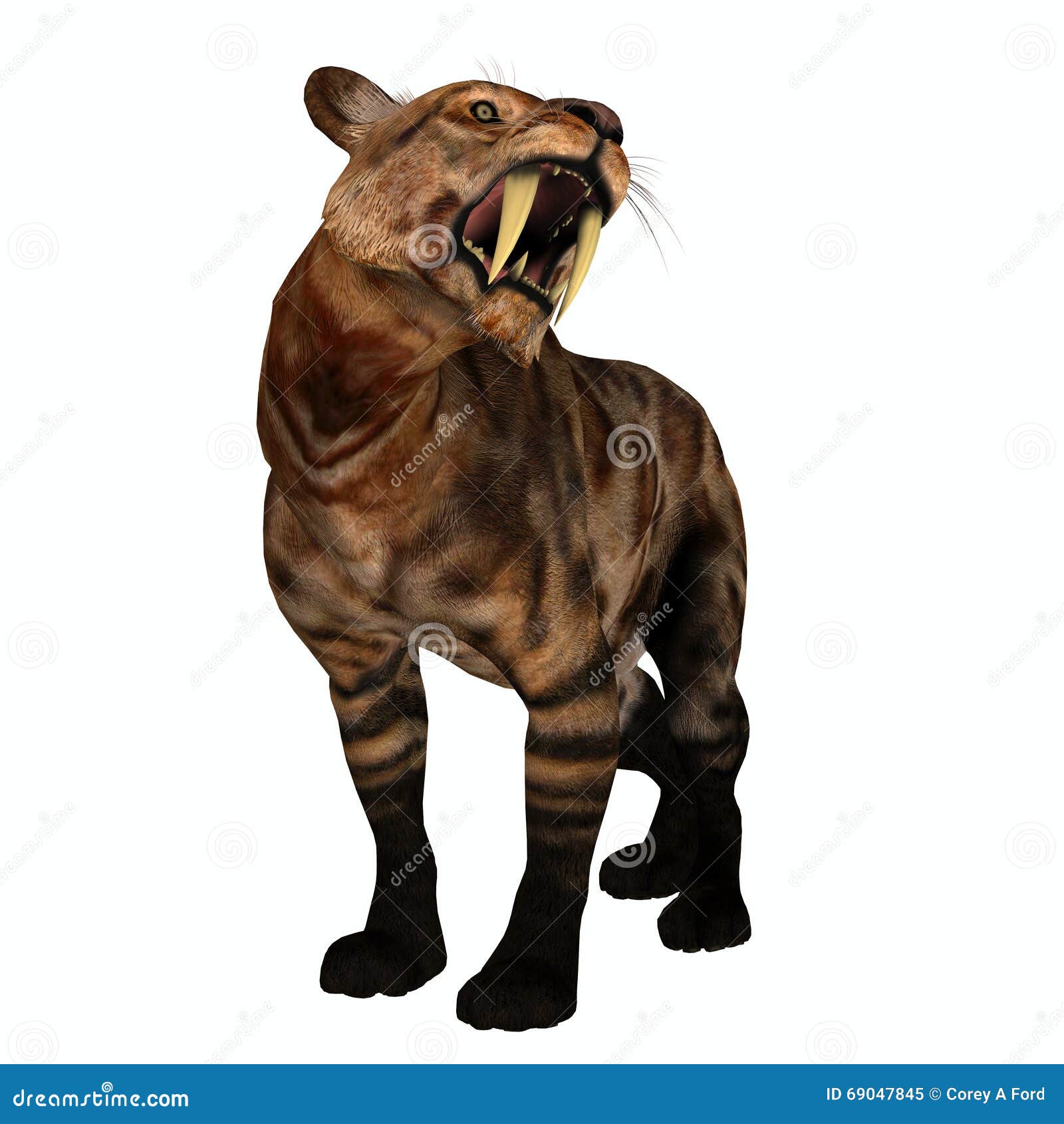 Sabel-tand Cat Growl stock illustratie. Illustration of zoogdier - 69047845