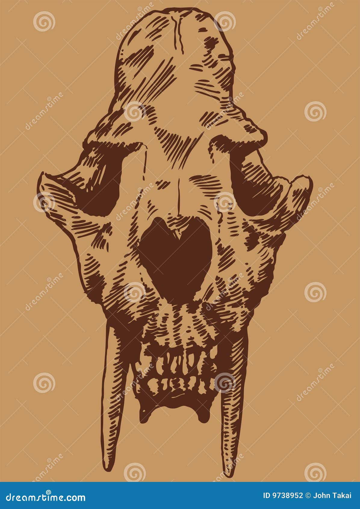 Saber Tooth Tiger Fossilized Skull Hand Drawn Image. Big Feline Bones ...