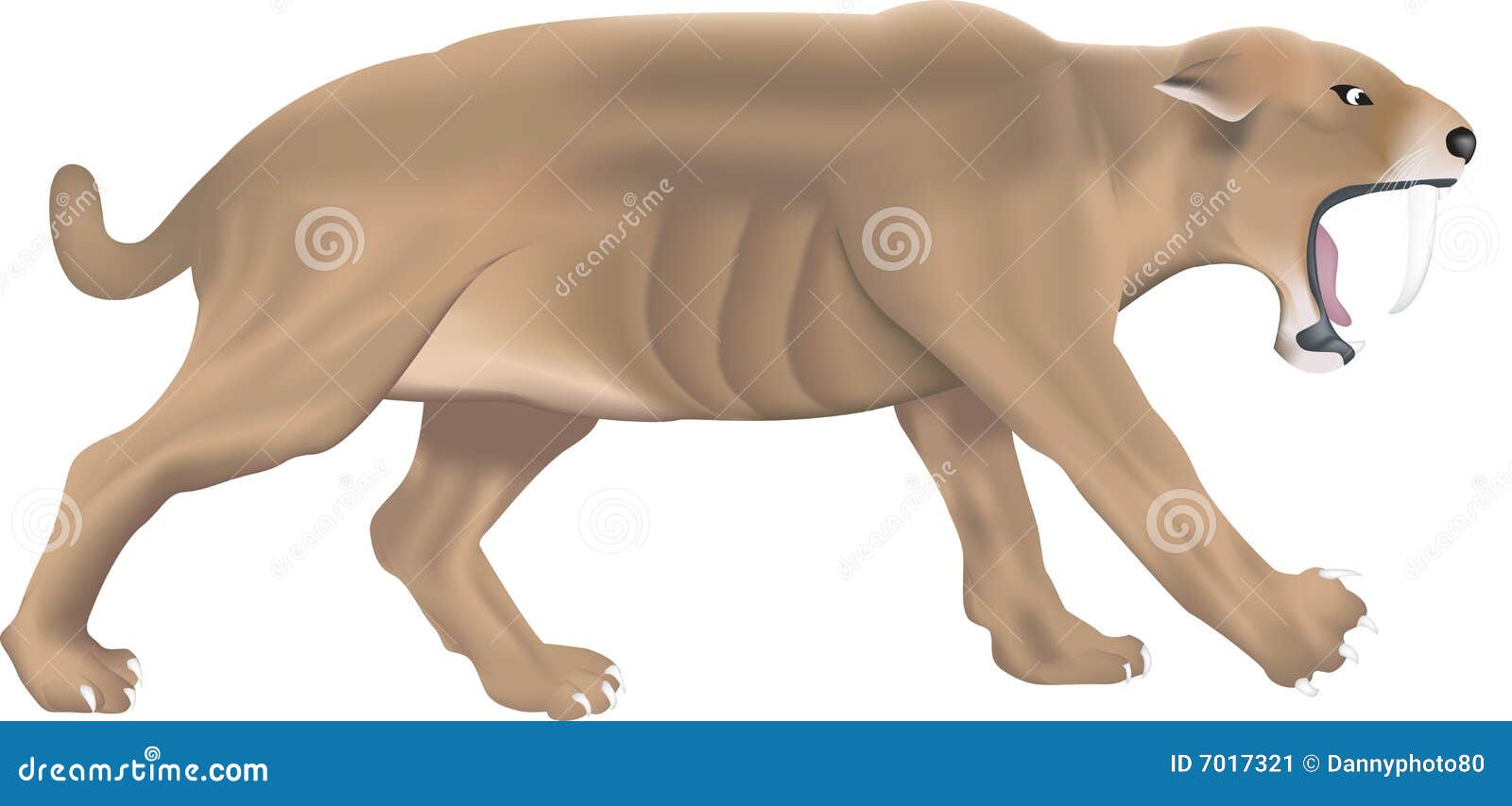 Saber Tooth Tiger Fossilized Skull Hand Drawn Image. Big Feline Bones ...