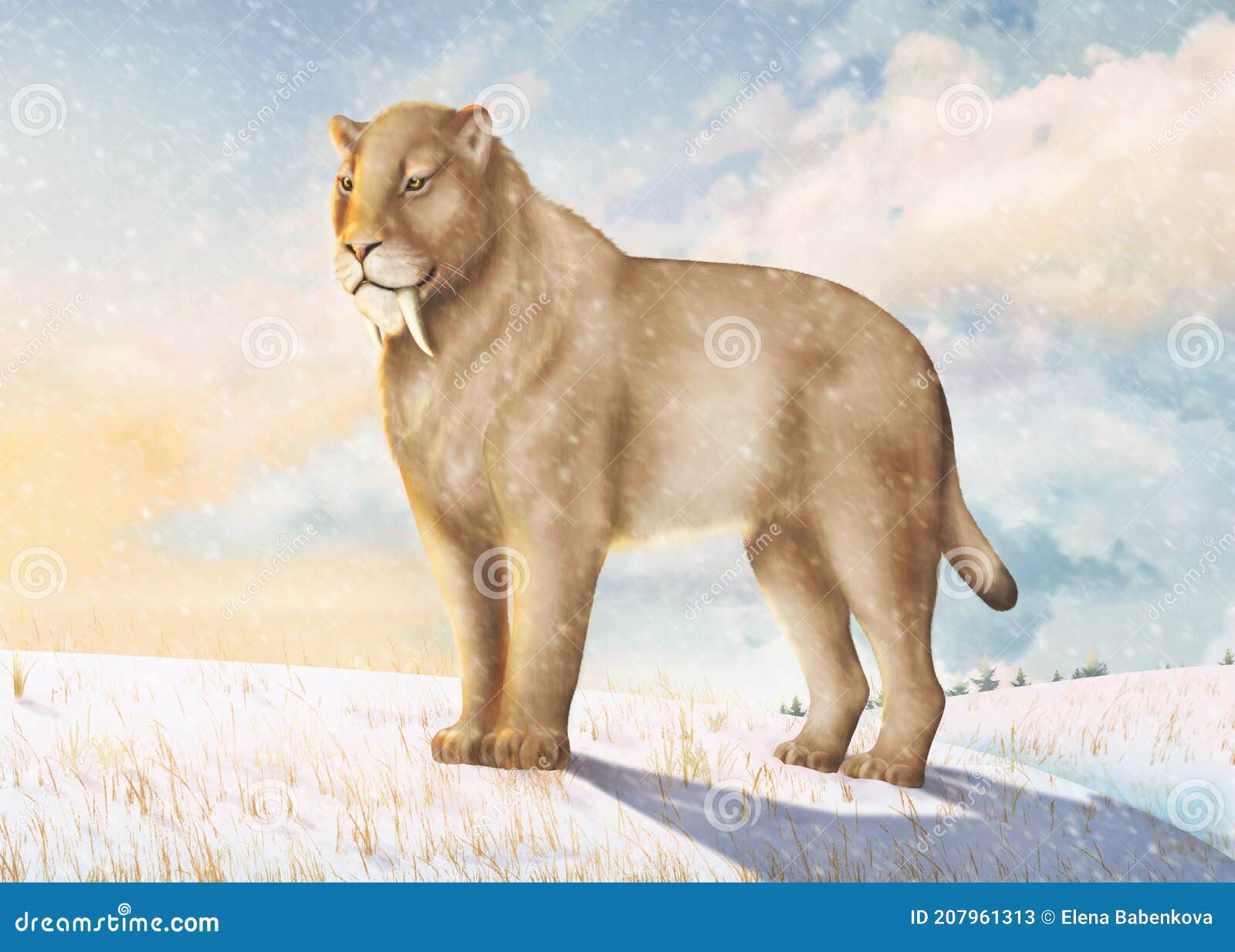 Saber-toothed Cat In The Cold Ice Age. Royalty-Free Stock Photography ...