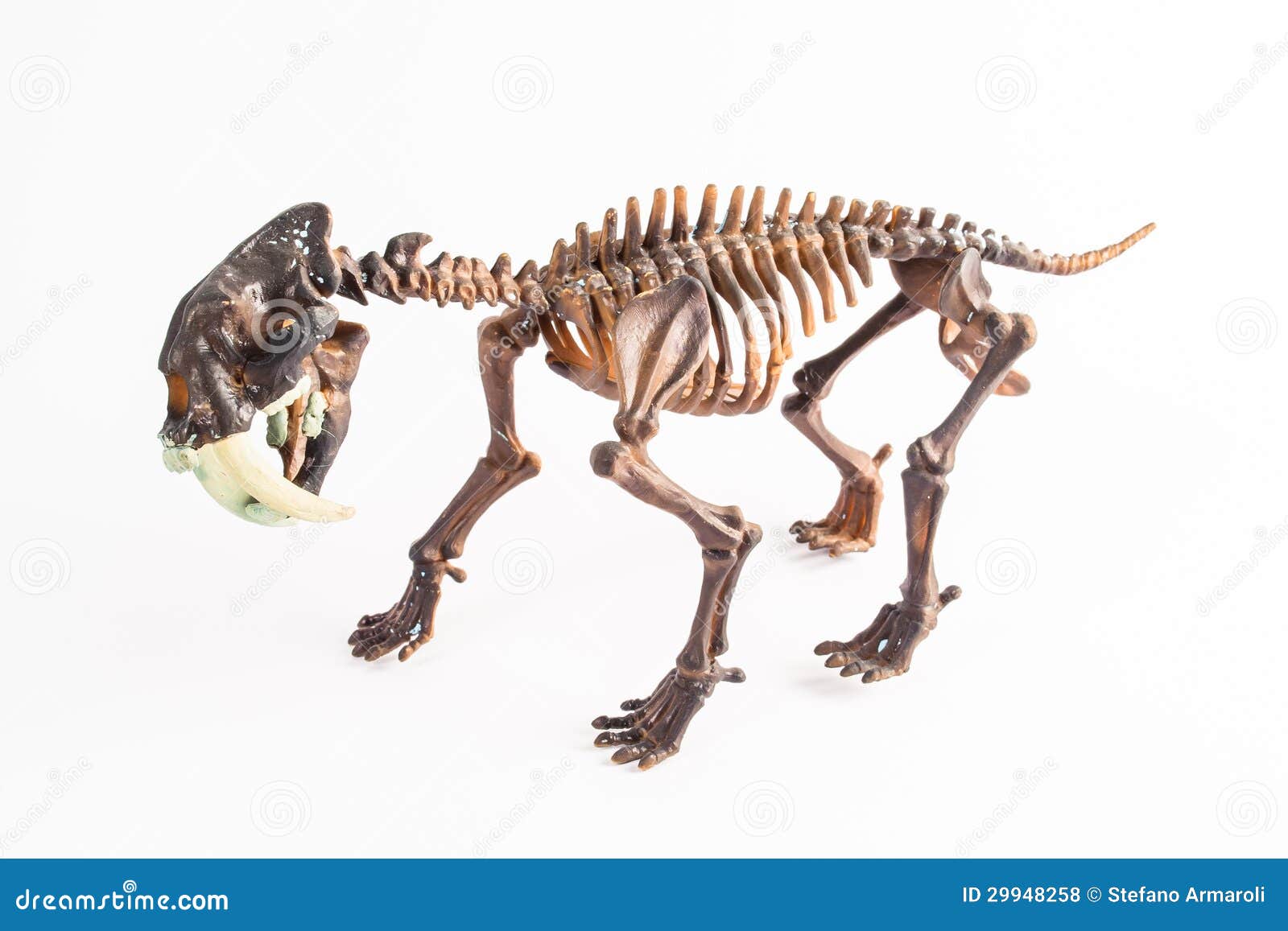 Saber-toothed Tiger Stock Photography | CartoonDealer.com #29948258