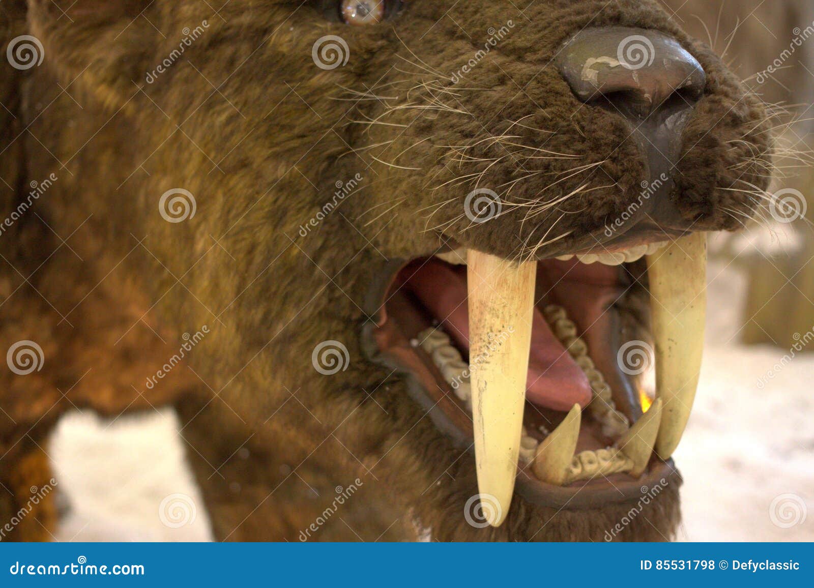 Saber - toothed tiger stock photo. Image of felid, animal - 85531798