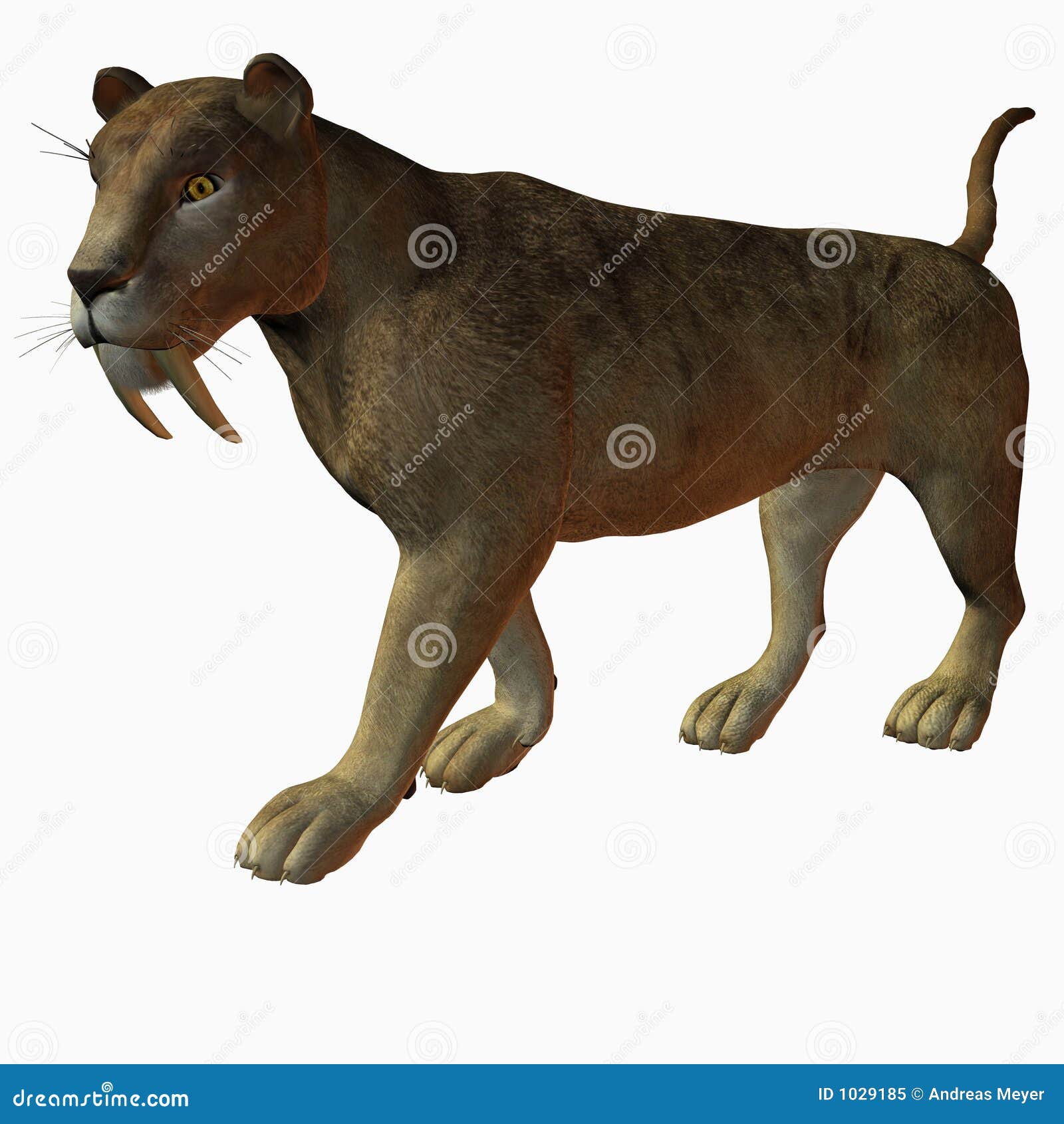Sabertooth stock illustration. Illustration of aggressive - 1029185