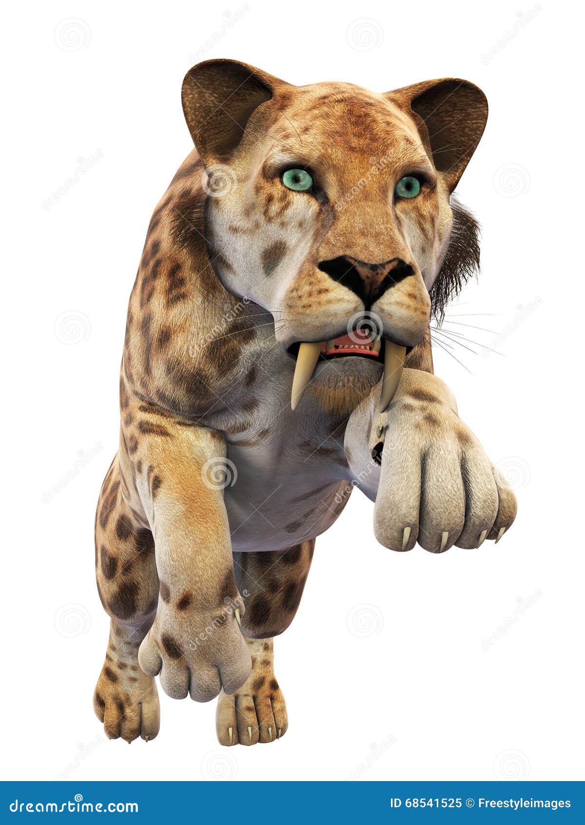 Sabertooth, Animal En Blanco Stock de ilustración - Ilustración de ...