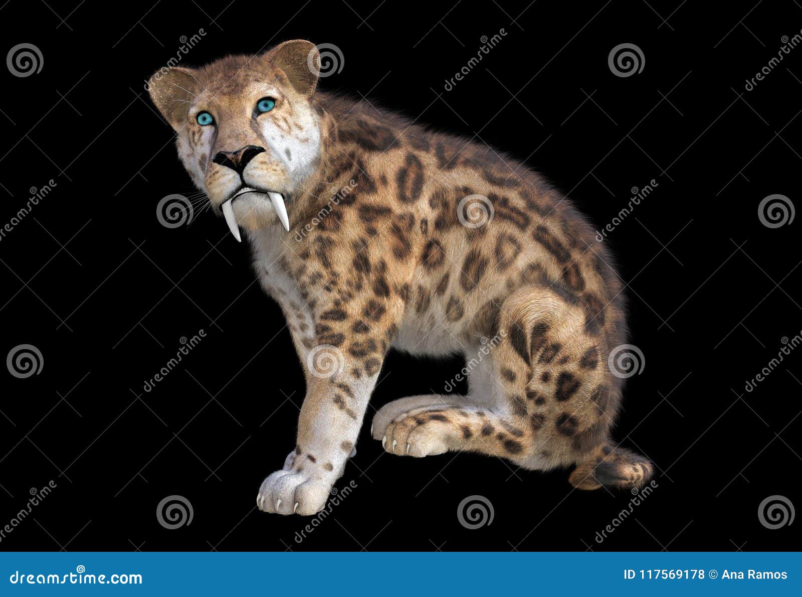 Sabertooth Black And White Illustration | CartoonDealer.com #278171098