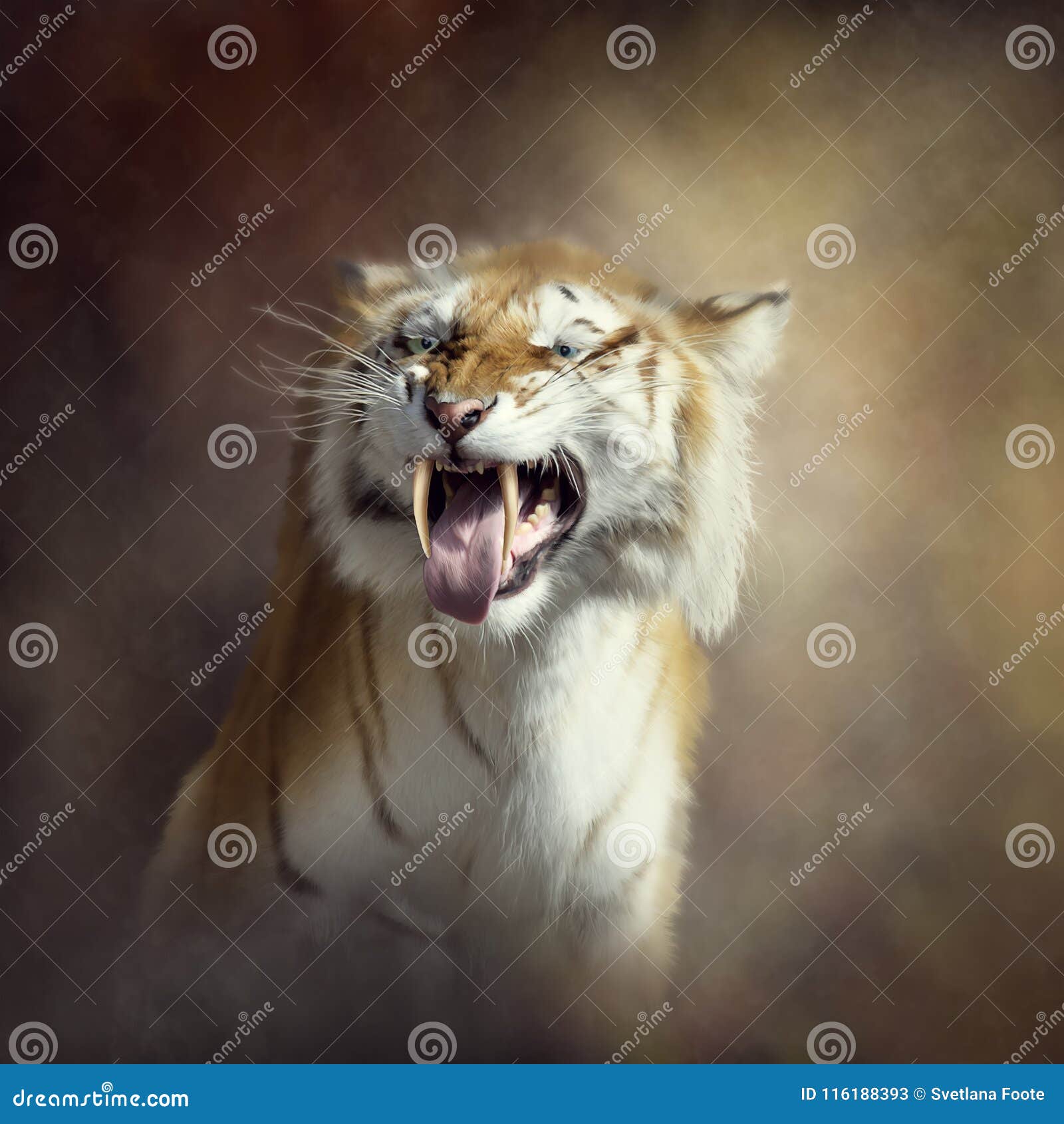 Sabertooth tiger portrait stock image. Image of predator - 116188393