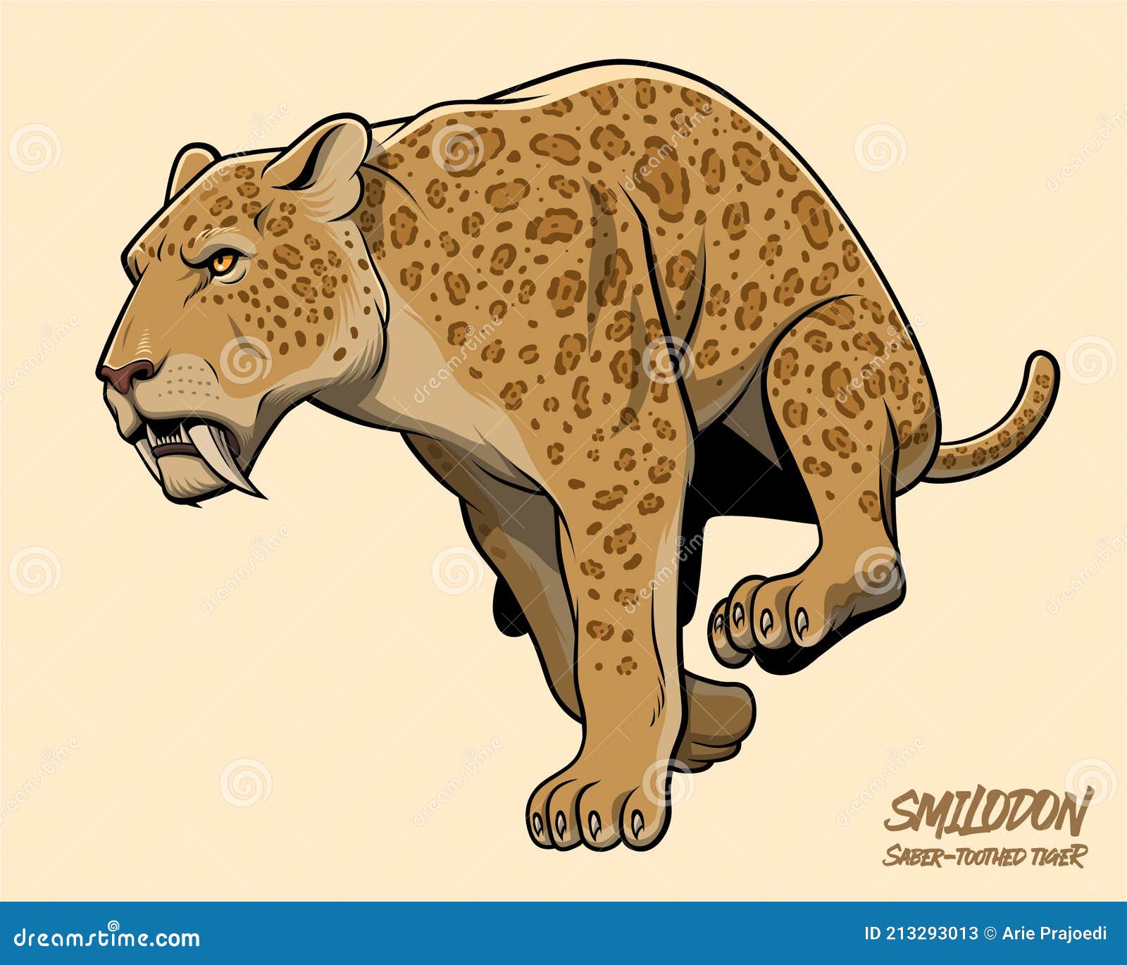 Sabertooth Tiger Running and Hunting Stock Image - Image of saber ...