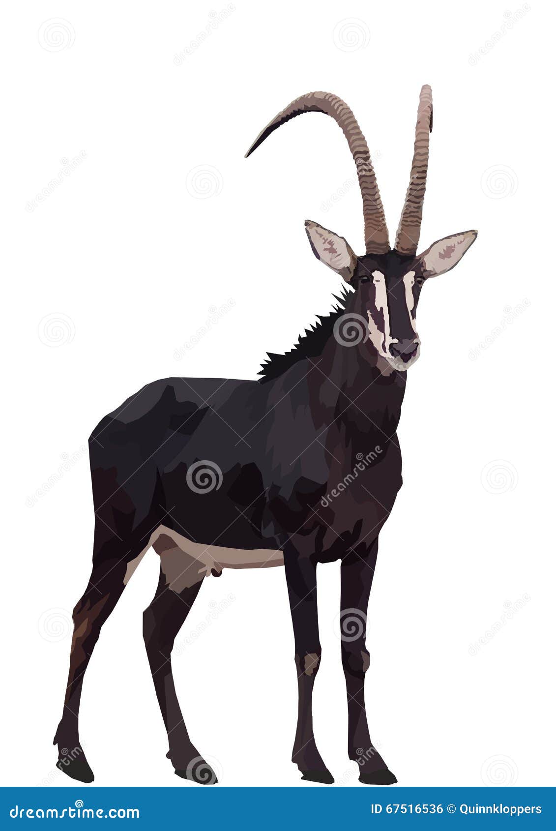 Sable Antelope, Handpainted Watercolor Illustration Isolated On White ...