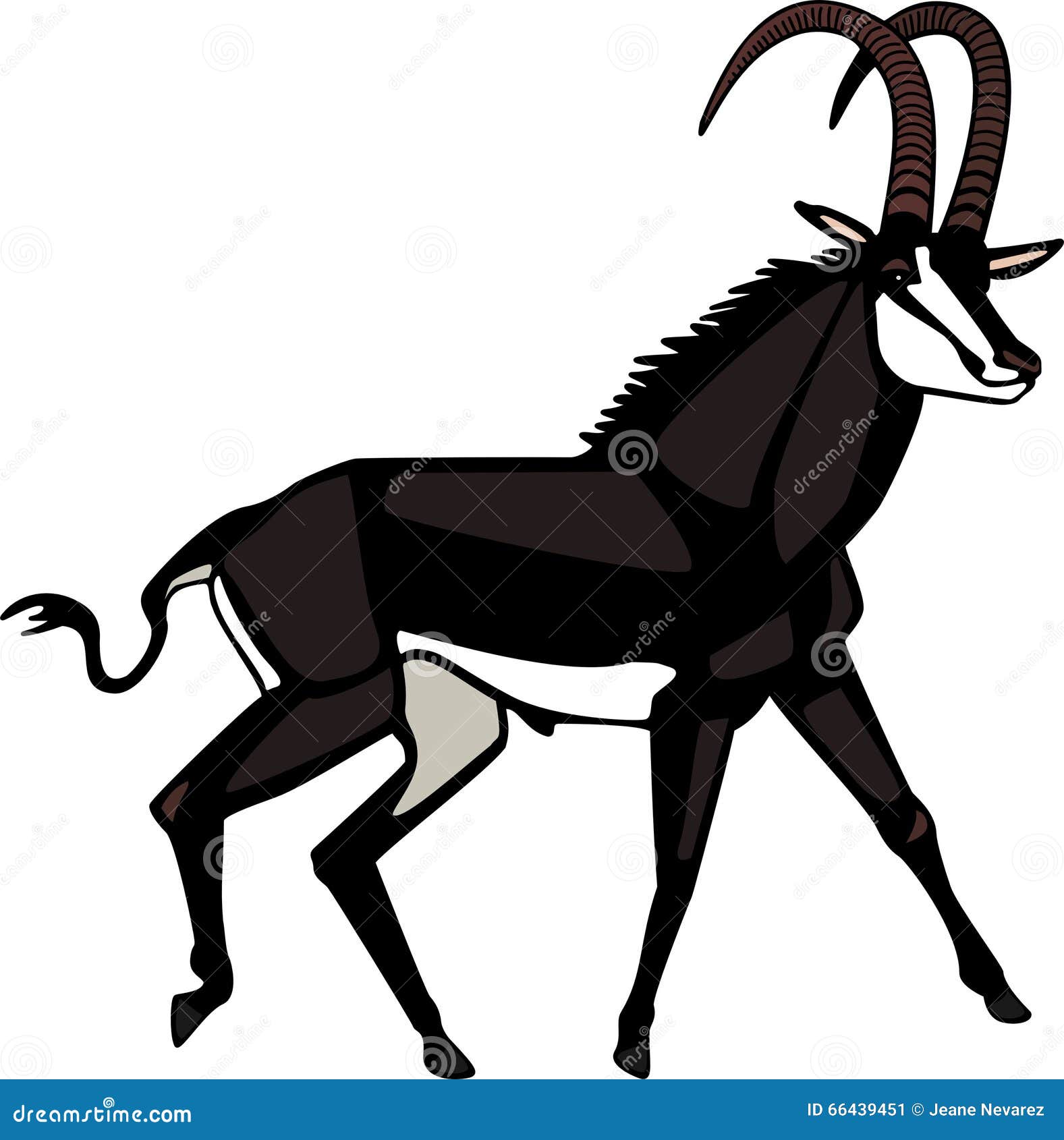 Sable Antelope - Vector Illustration Sketch Hand Drawn With Black Lines ...